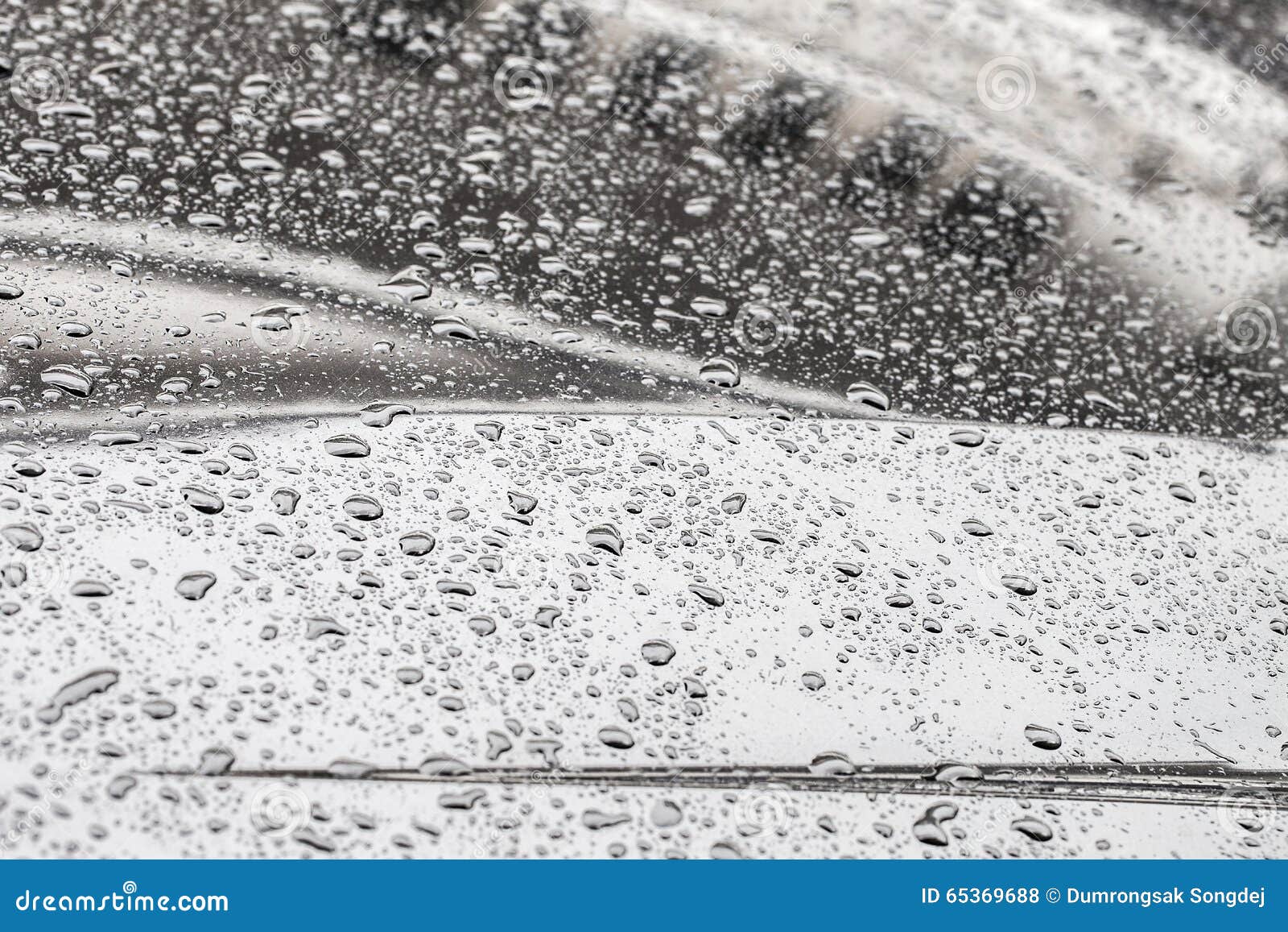 Texture of Raindrops on a Car Surface after Raining Stock Photo - Image ...