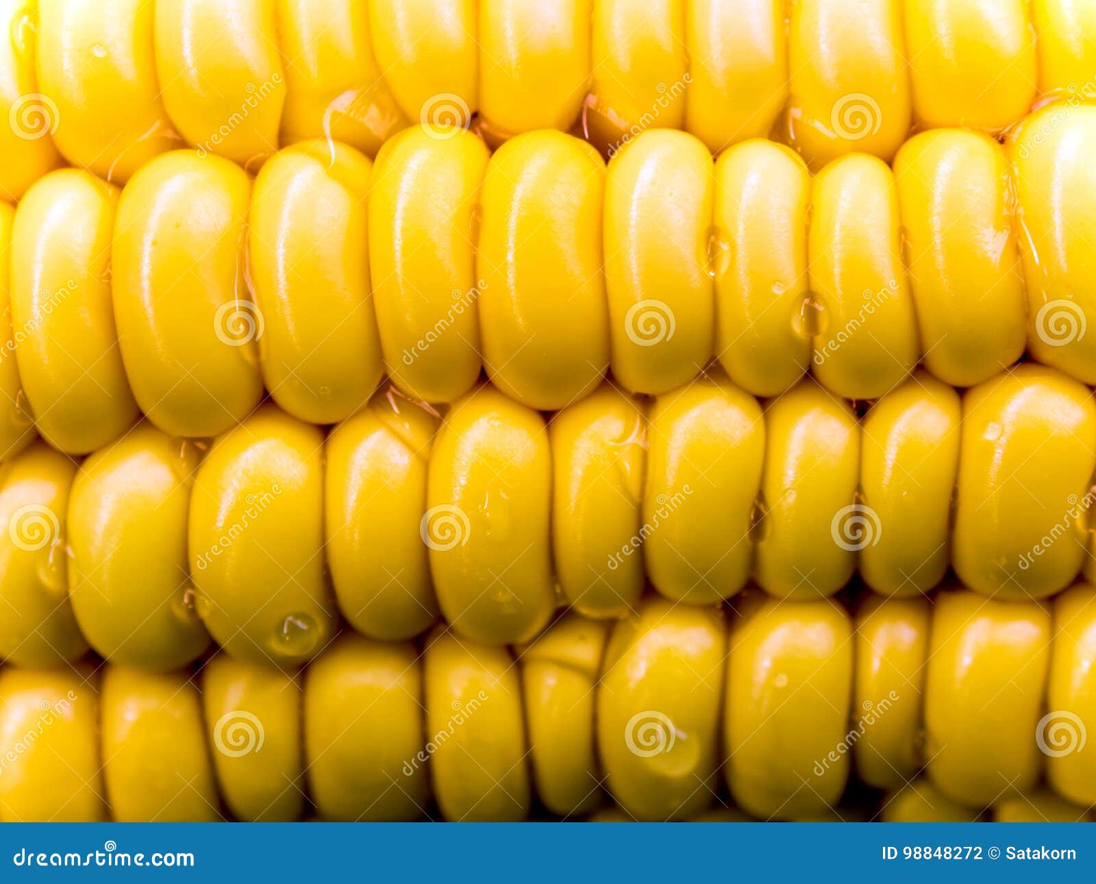 Texture of Corn Cob Sweet Maize Stock Photo - Image of yellow, grain ...