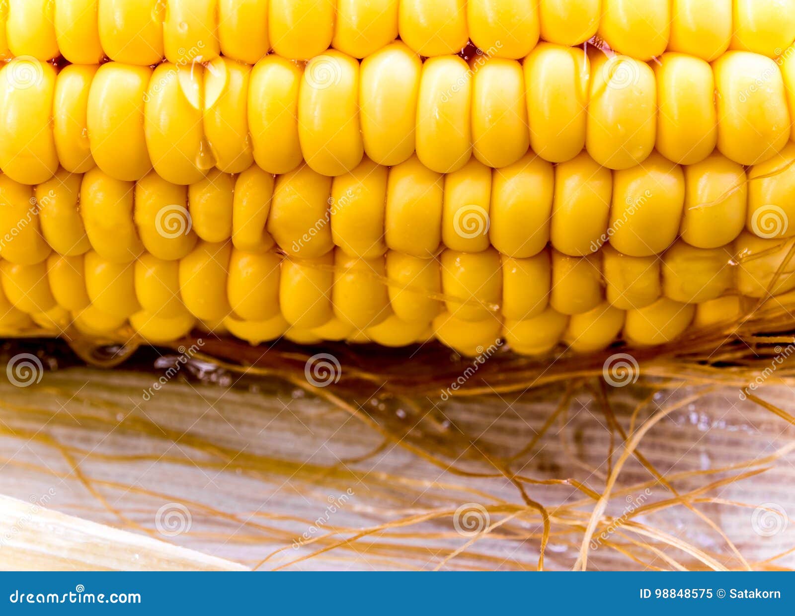 Texture of Corn Cob Sweet Maize Stock Image - Image of husk, closeup ...