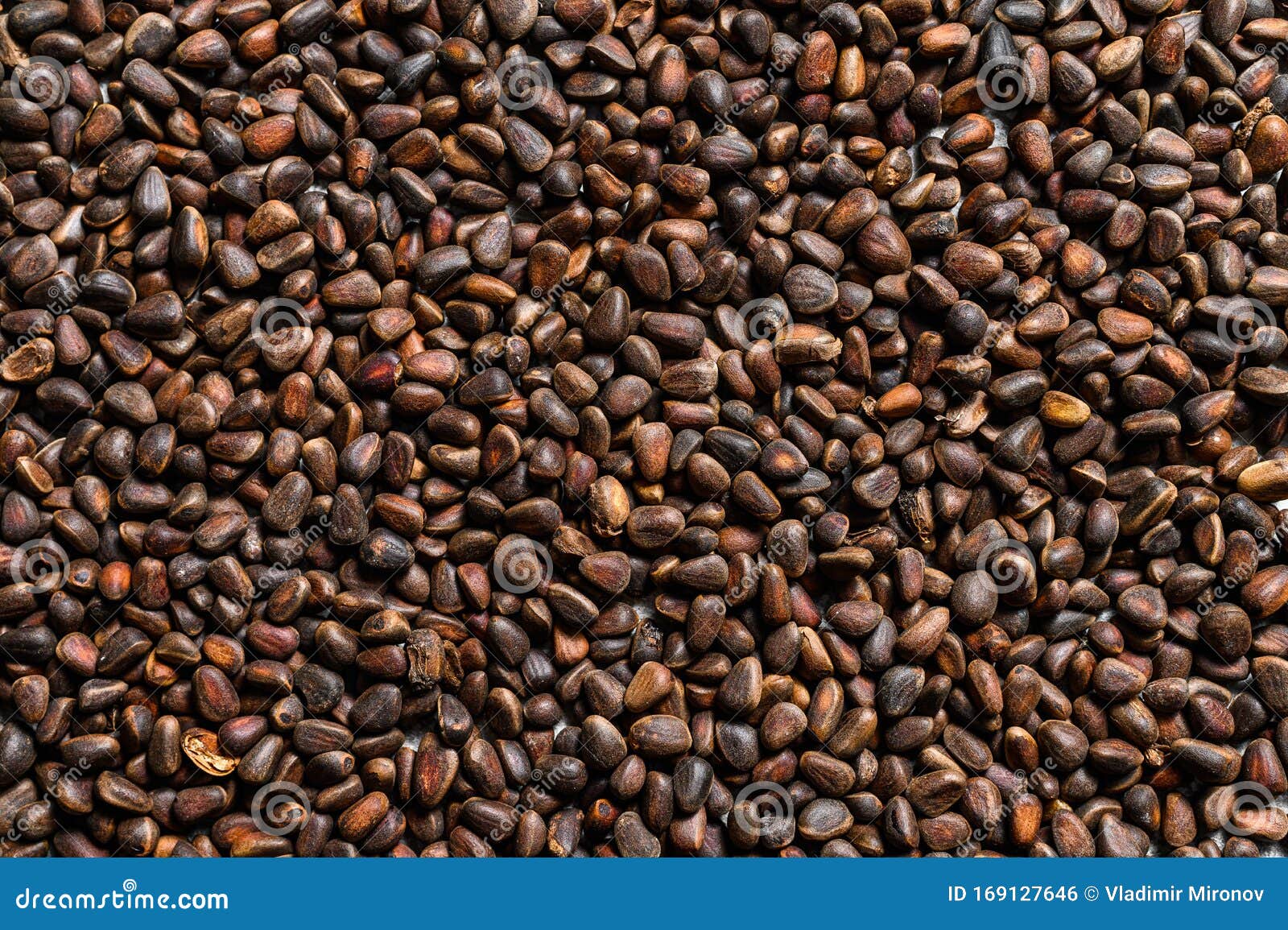 Texture of Raw Pine Nuts in Shell. Top View Stock Photo - Image of ...