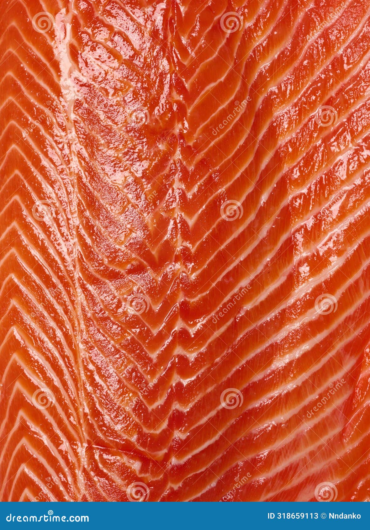 Texture of Raw Trout Fillet, Top View Stock Image - Image of fish ...