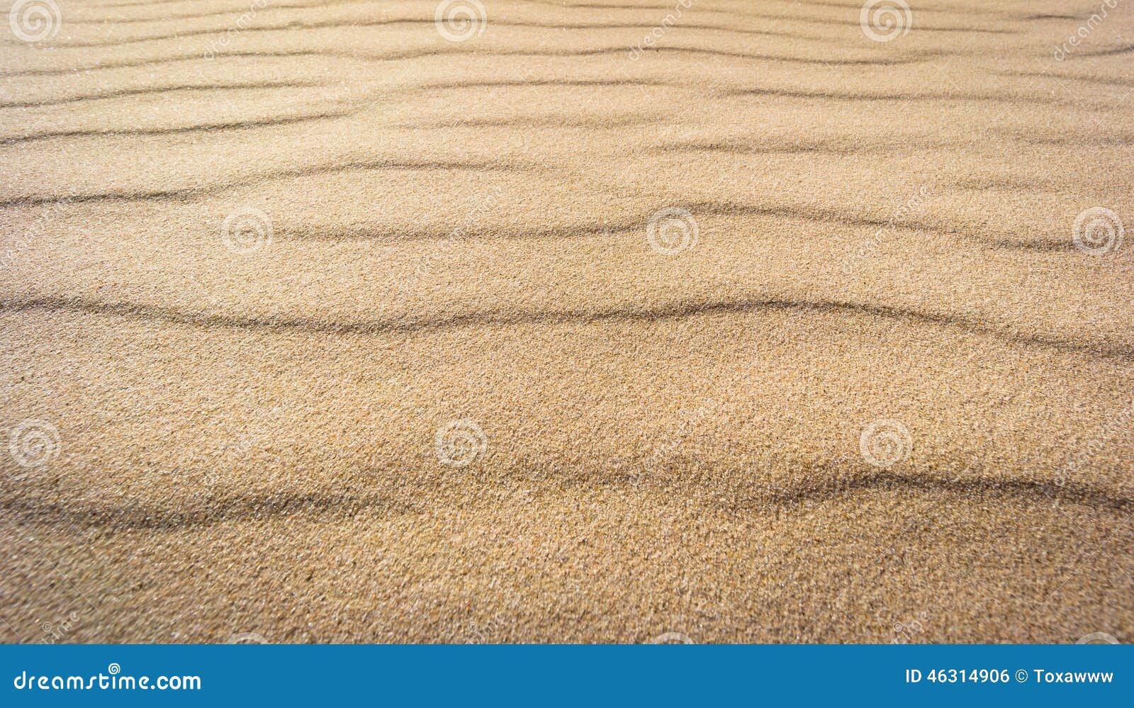 Texture of the Real Sand Waves Stock Photo - Image of seamless ...