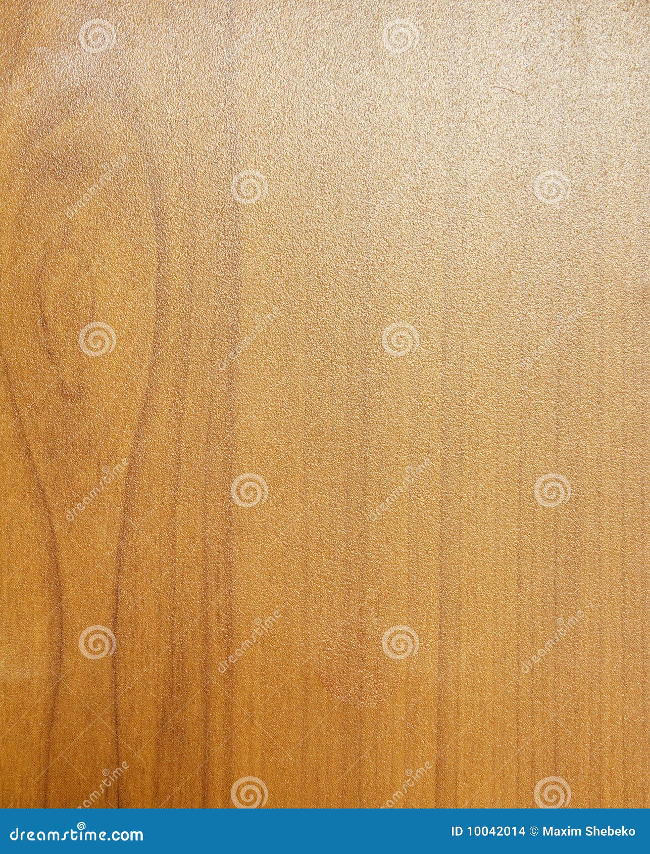 Texture of real wood stock photo. Image of board, bright - 10042014
