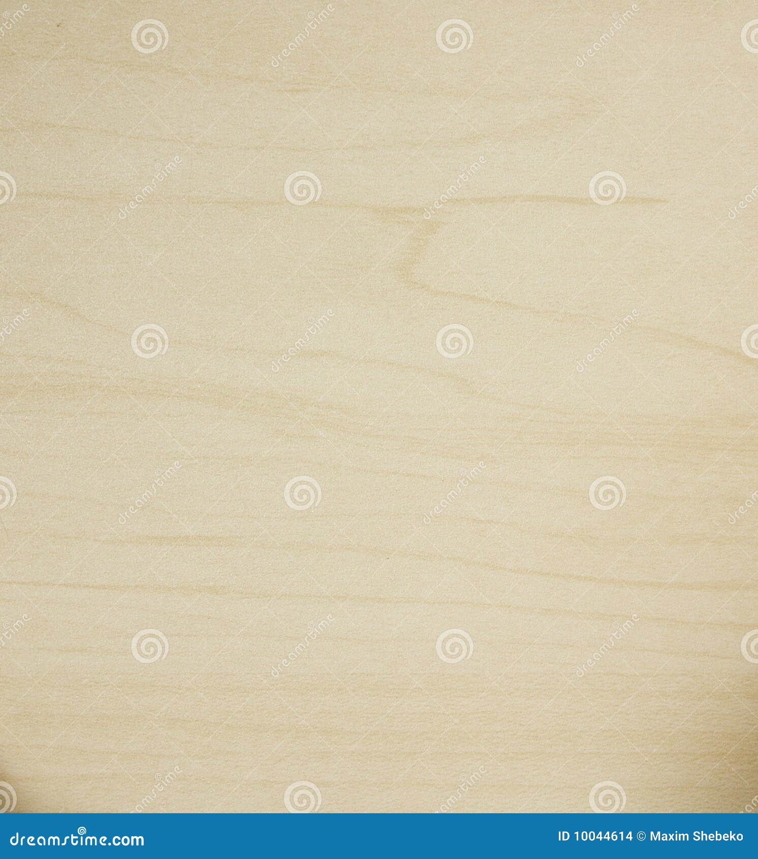 Texture of real wood stock photo. Image of plank, pattern - 10044614