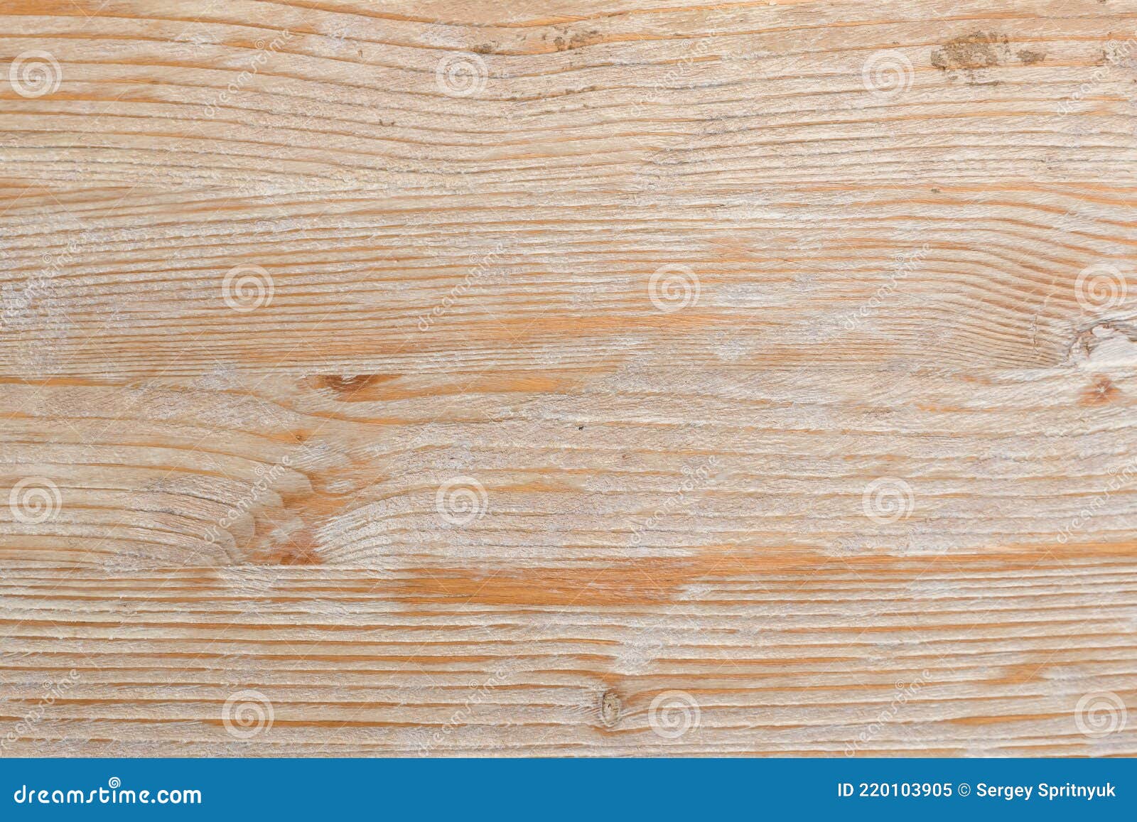 Texture of real wood stock image. Image of closeup, wood - 220103905