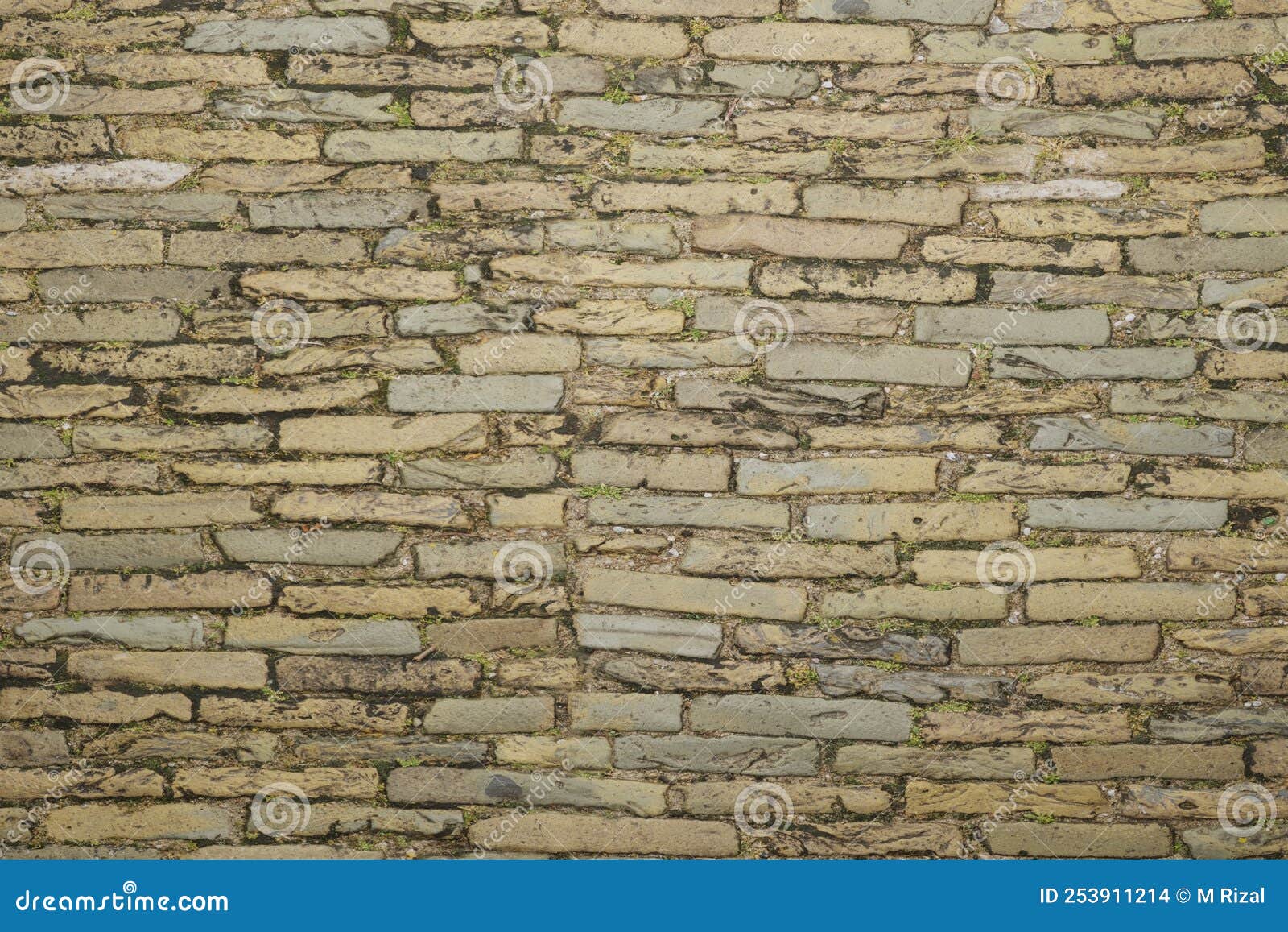 Texture Realistic Background 3d Rendering Stock Illustration ...