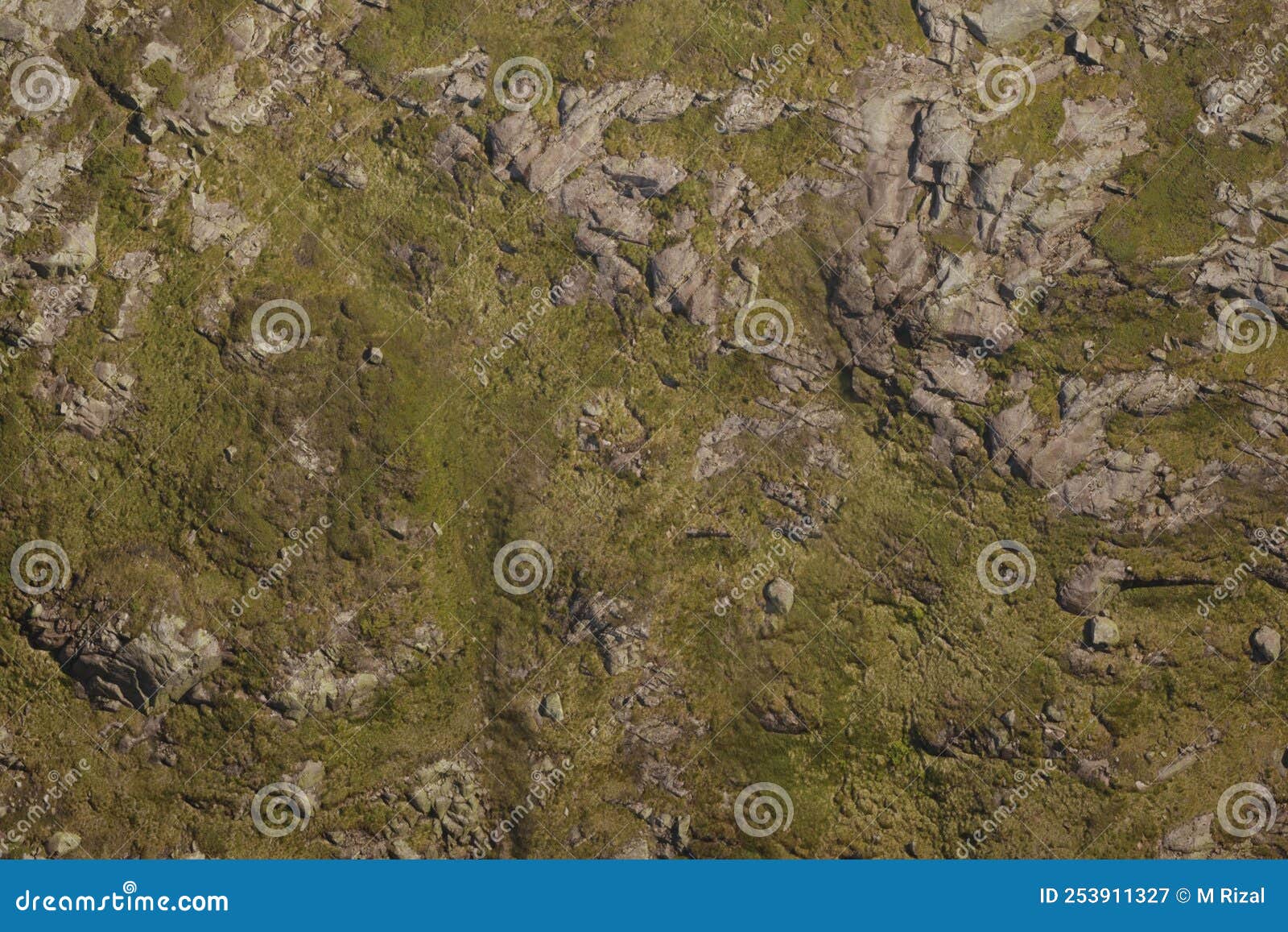 Texture Realistic Background 3d Rendering Stock Illustration ...