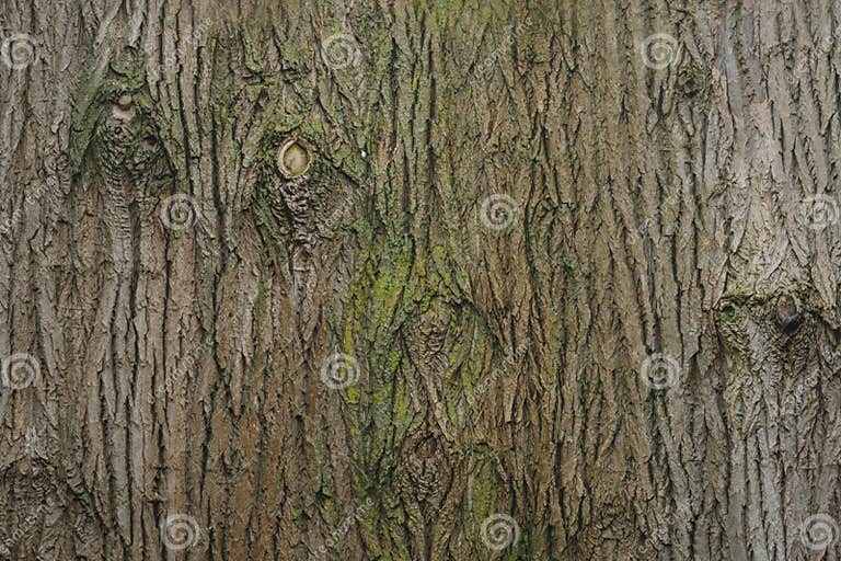 Texture Realistic Background 3d Rendering Stock Illustration ...