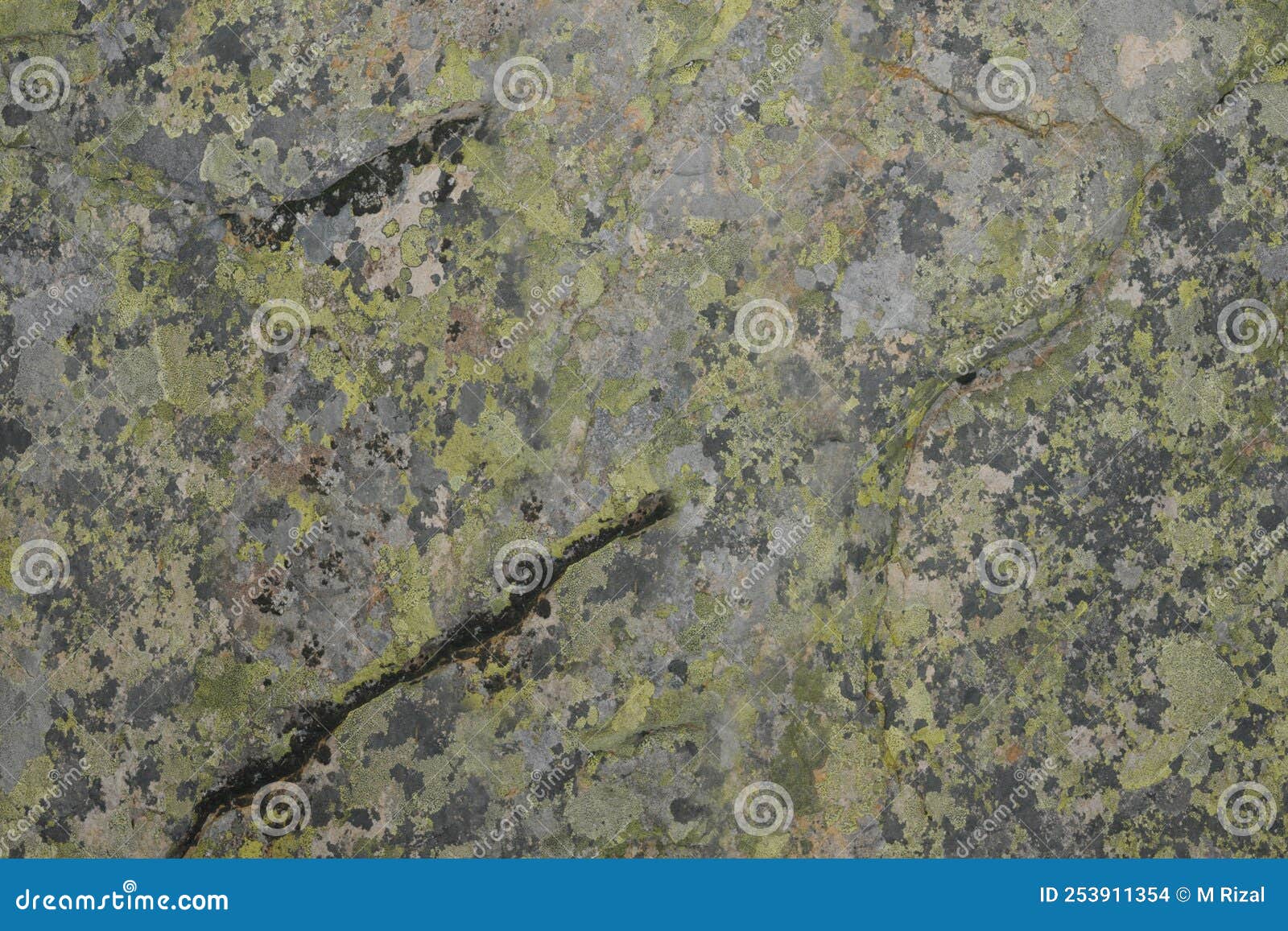 Texture Realistic Background 3d Rendering Stock Illustration ...