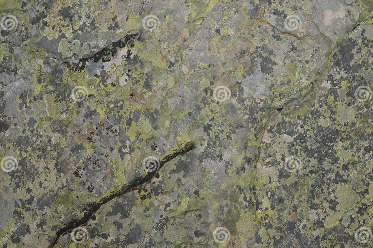 Texture Realistic Background 3d Rendering Stock Illustration ...