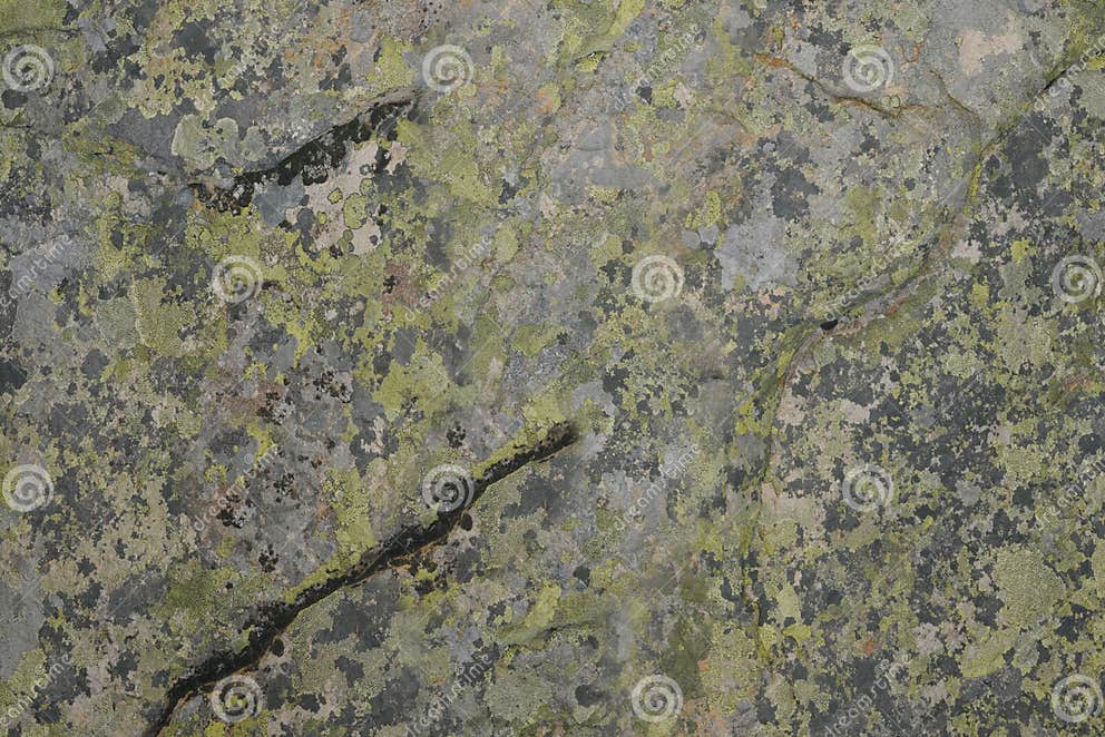 Texture Realistic Background 3d Rendering Stock Illustration ...