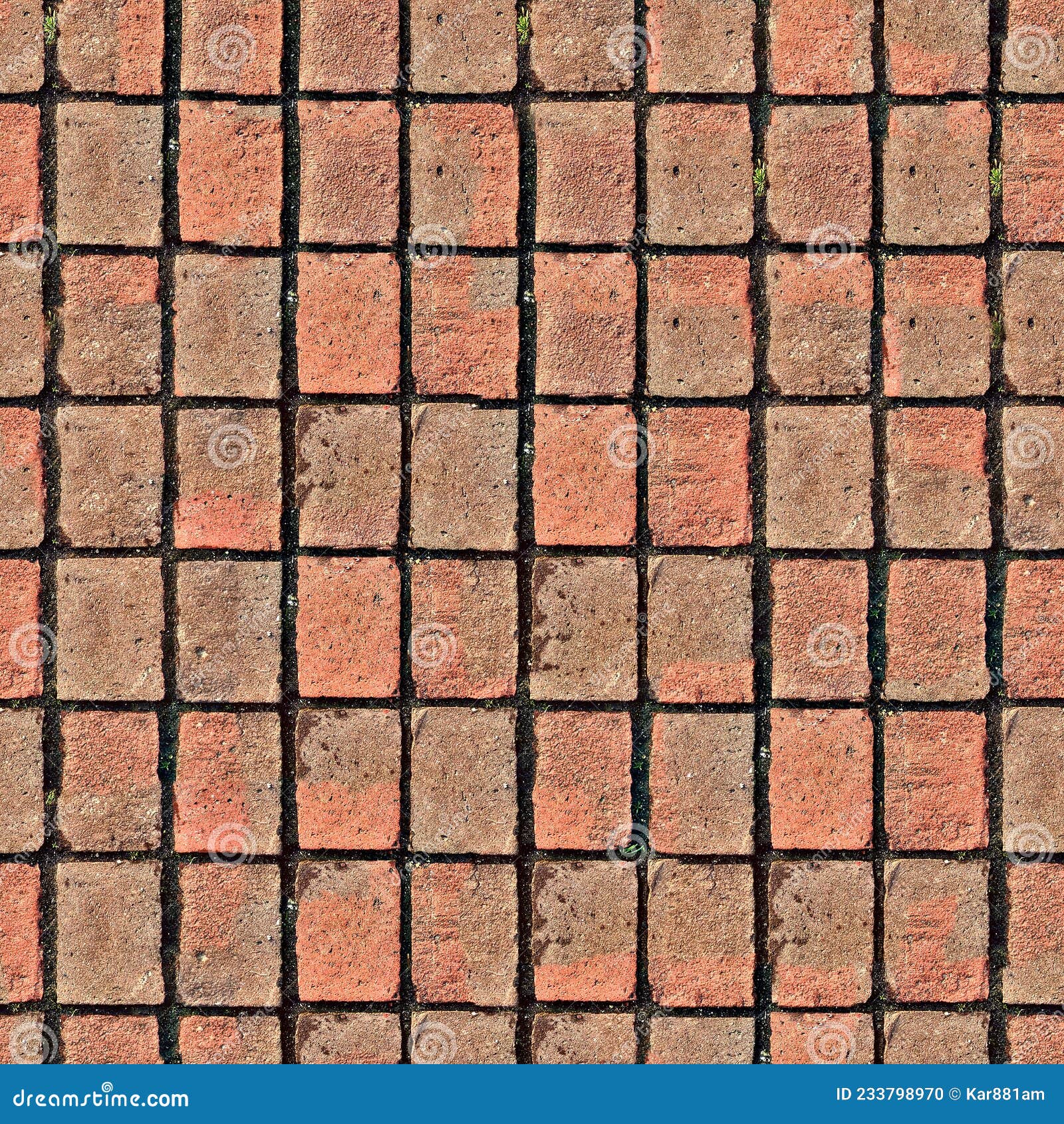 Brick Footpath Texture
