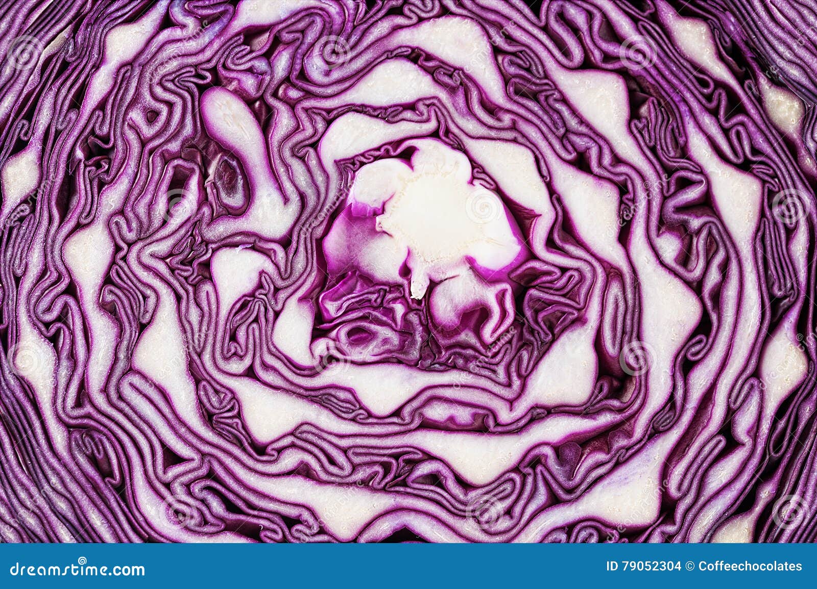 Texture of Red Cabbage, Scotch Kale or Purple Cabbage Stock Photo ...