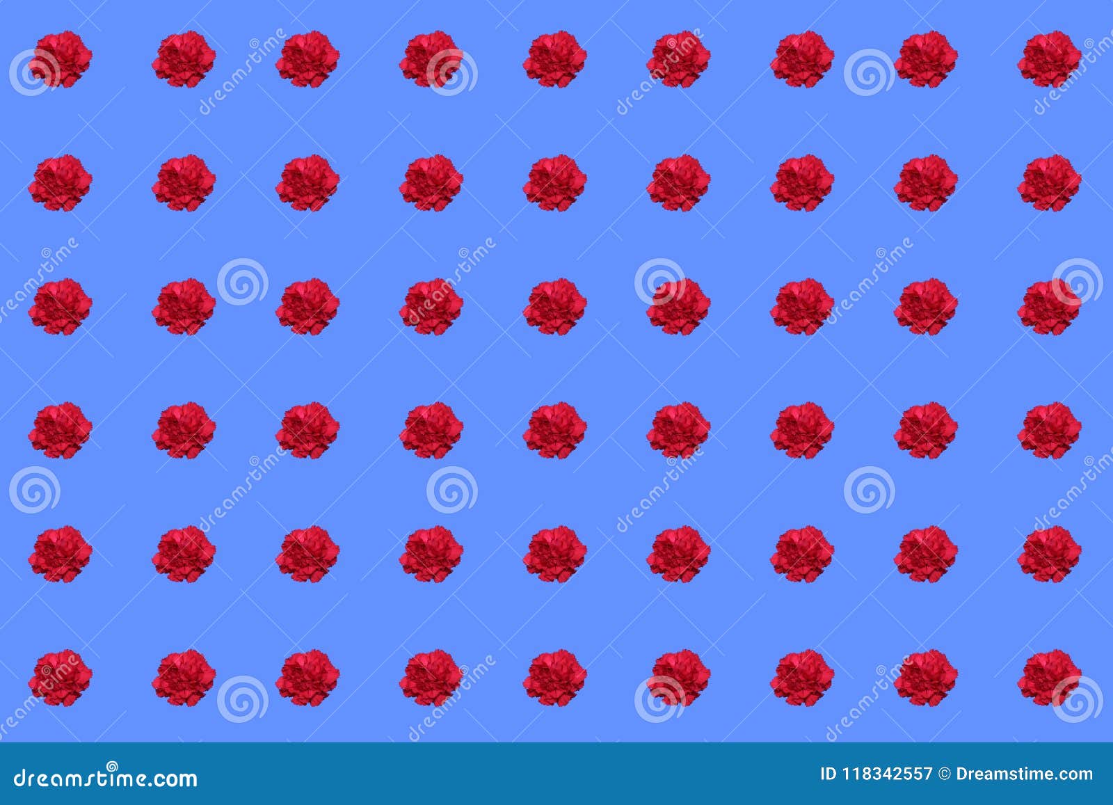 Texture from Red Carnations on the Blue Background Stock Image - Image ...