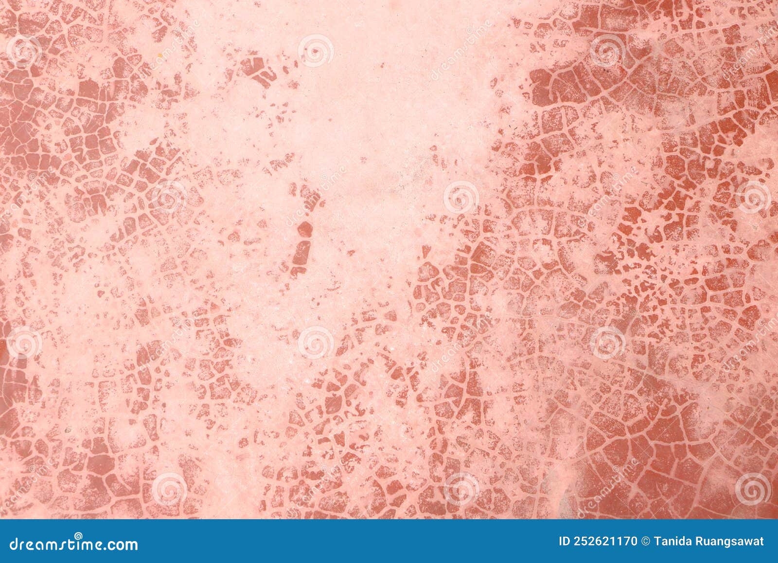 Texture of Red Color Line on Concrete Wall Stock Photo - Image of ...