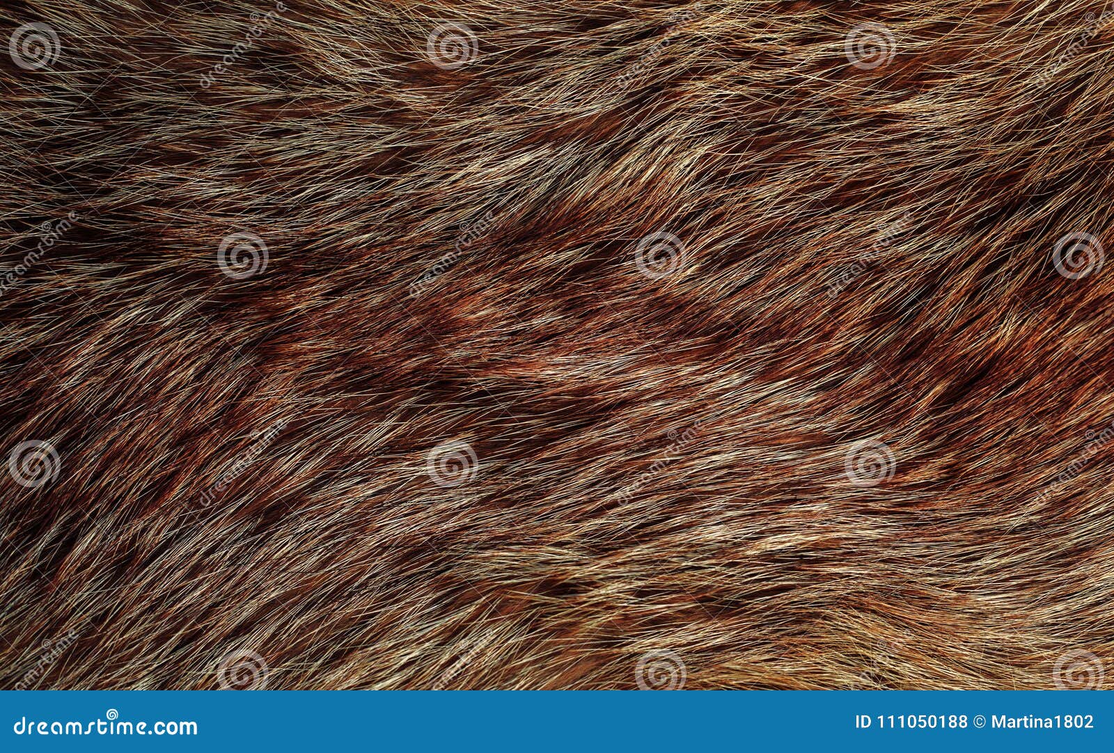 Texture of fox fur stock photo. Image of fluffy, mink - 111050188