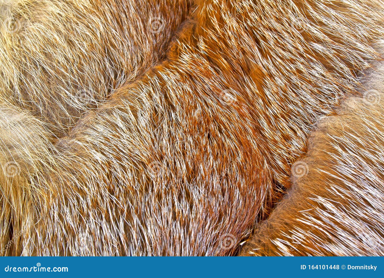 Texture of red fox fur stock photo. Image of backdrop - 164101448