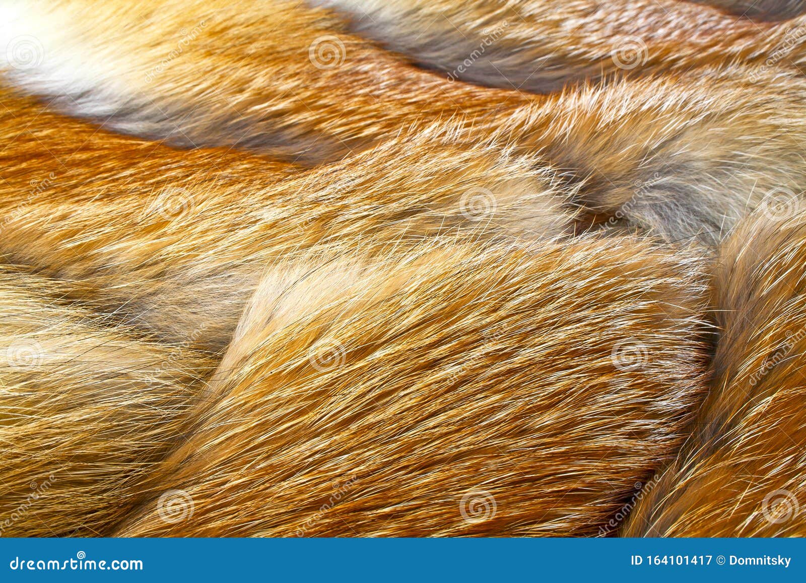 Texture of red fox fur stock image. Image of detail - 164101417