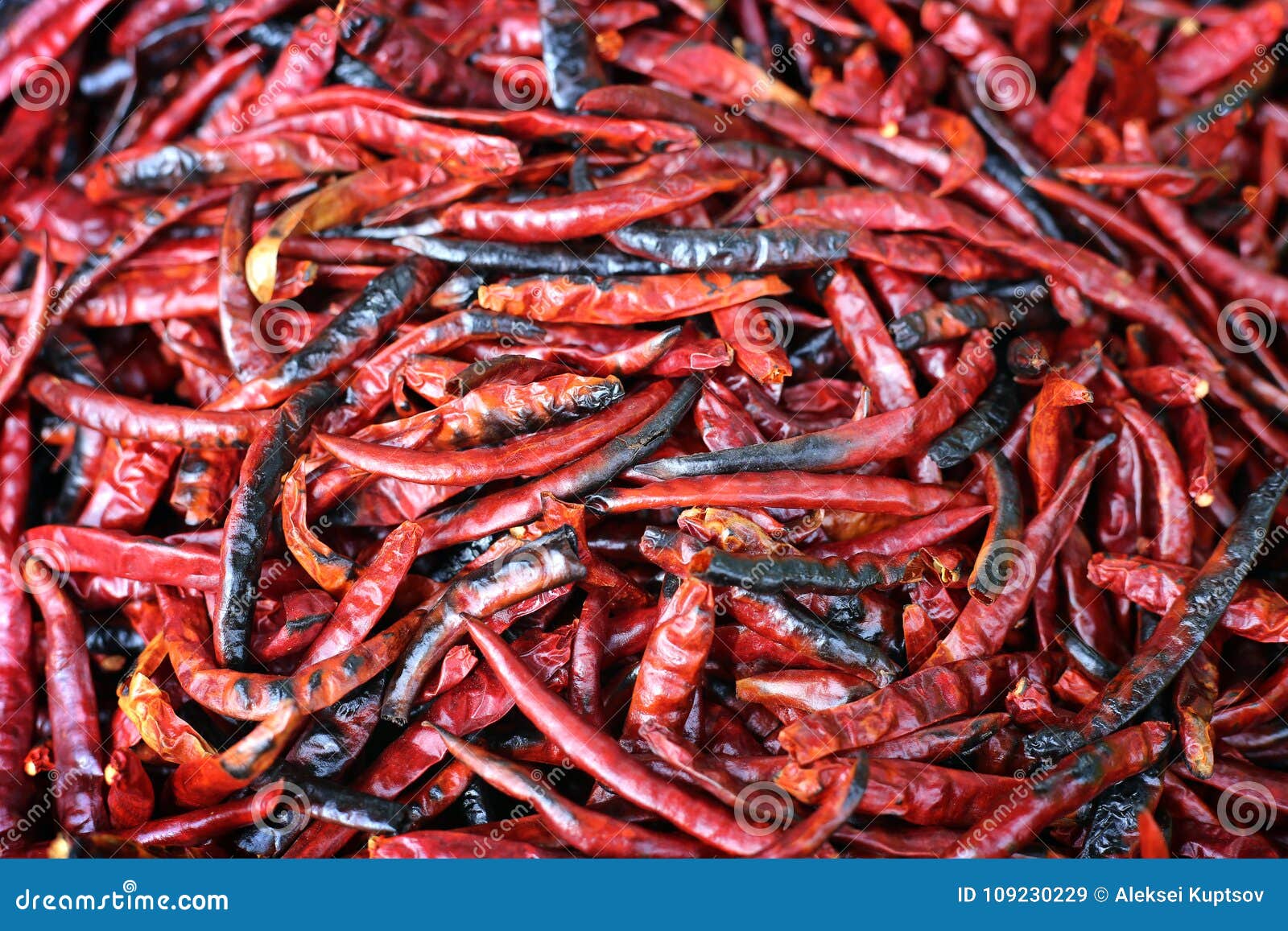 Chilli stock image. Image of pepper, freshness, chilly - 109230229