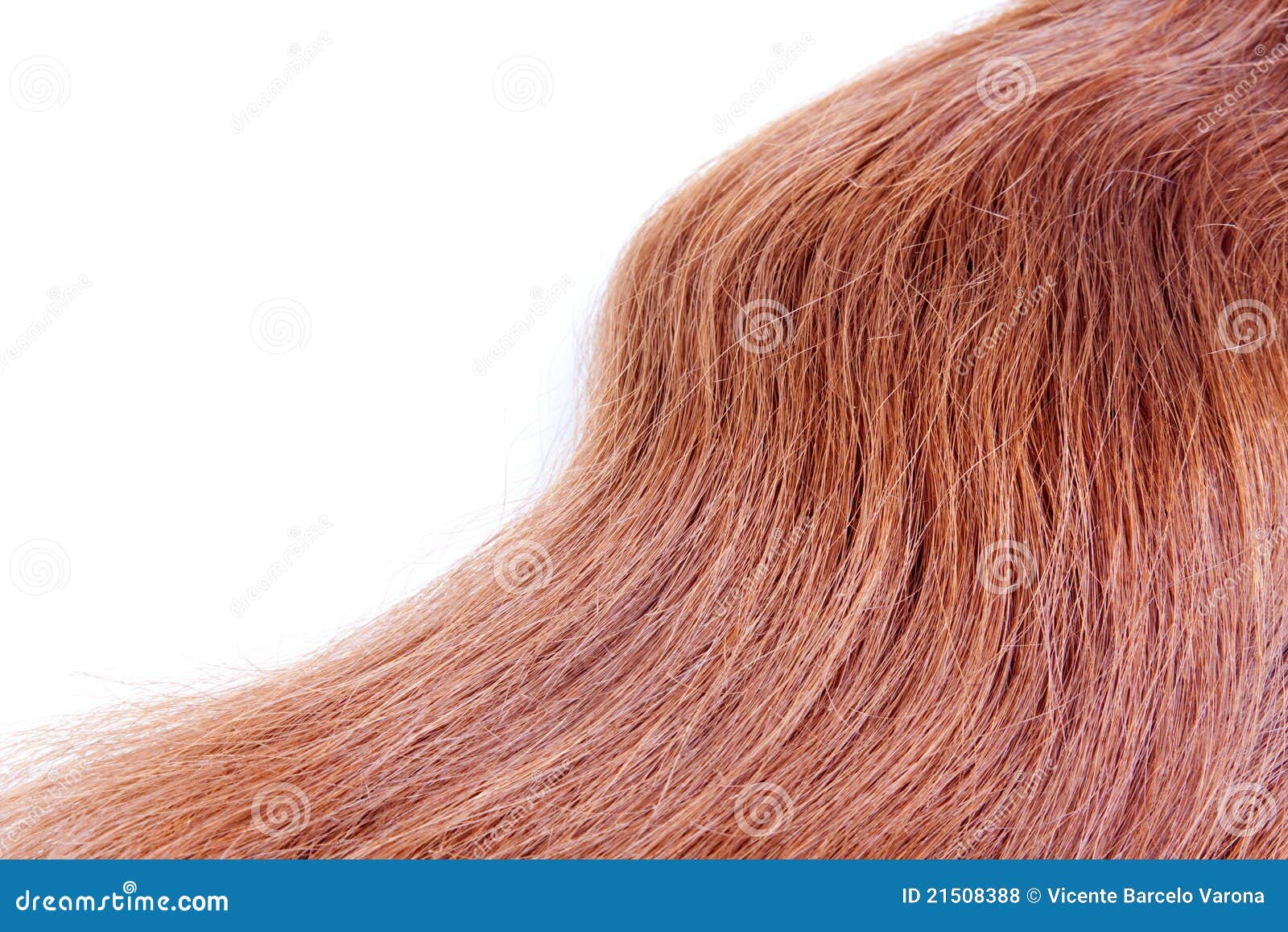 Texture of a red hair stock photo. Image of style, shampoo - 21508388