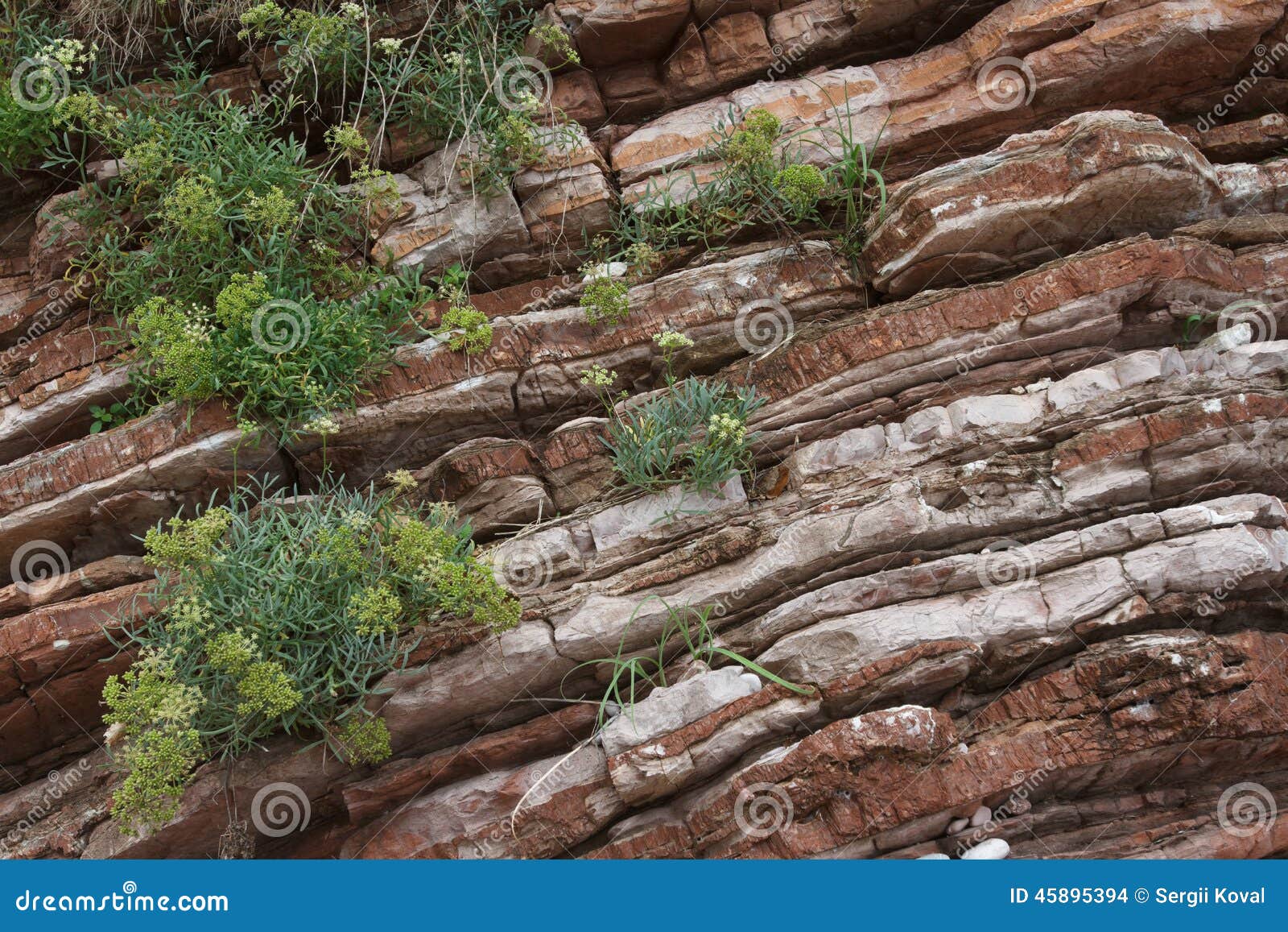 Texture of Red Rock with Growing Plants Close-up Stock Photo - Image of ...