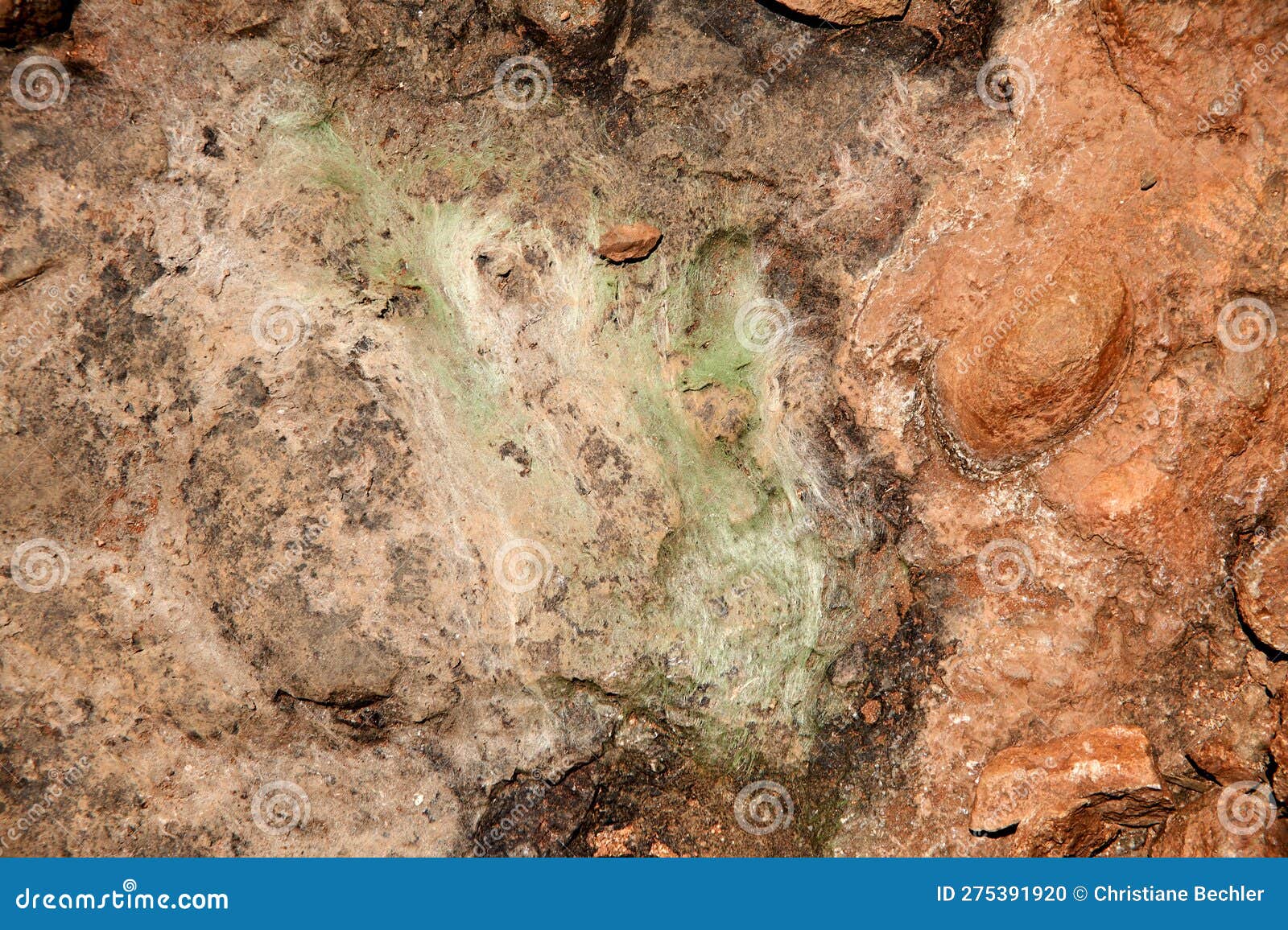 Journey through Australia stock photo. Image of green - 275391920