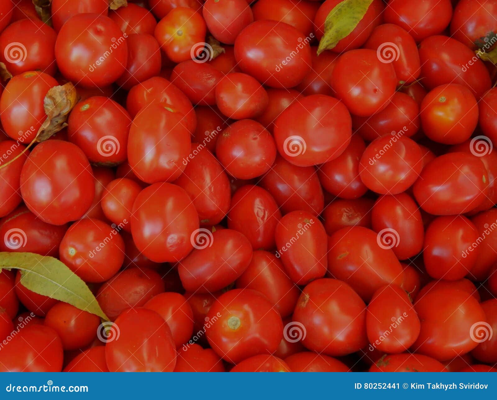 Texture of red tomatoes stock image. Image of cultivated - 80252441