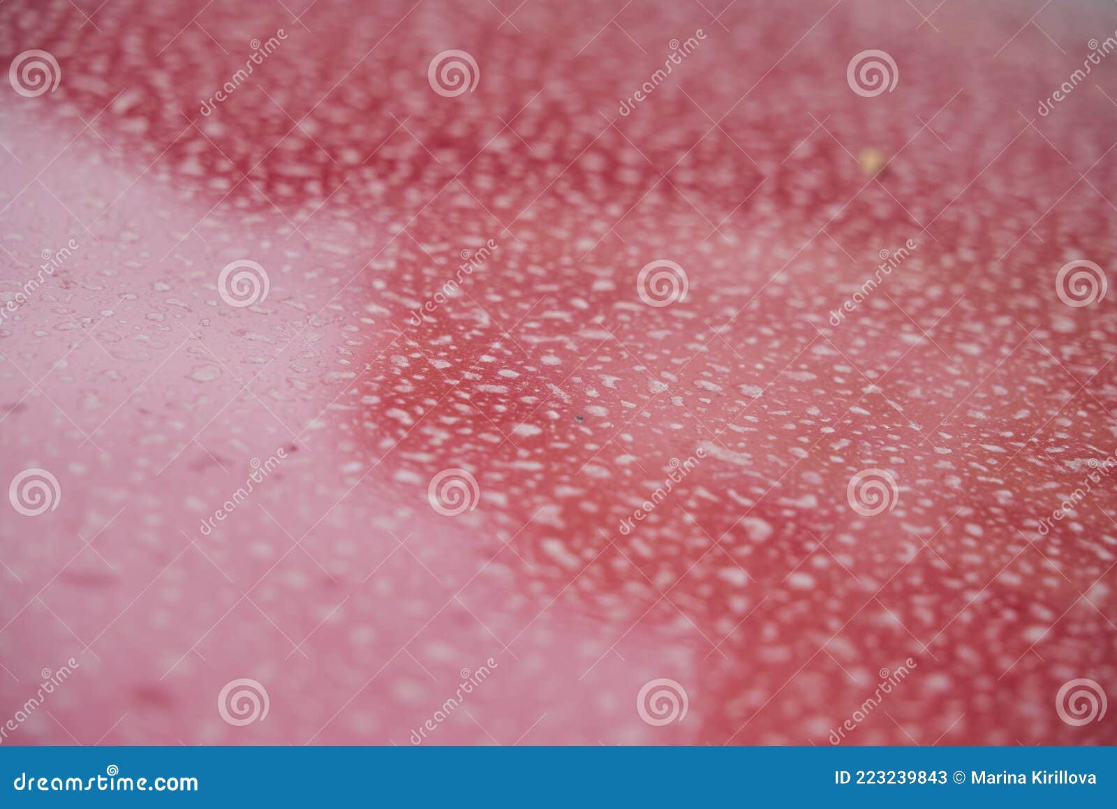 The Texture is Red with White Flecks Stock Illustration - Illustration ...