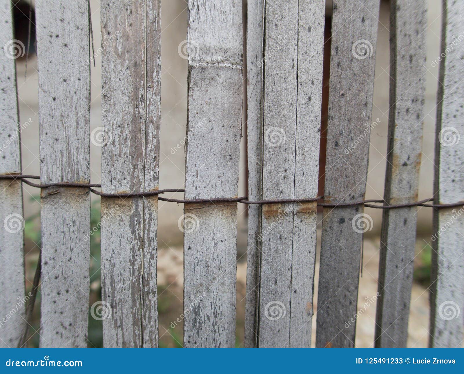 Texture of a reed fence stock image. Image of bamboo - 125491233