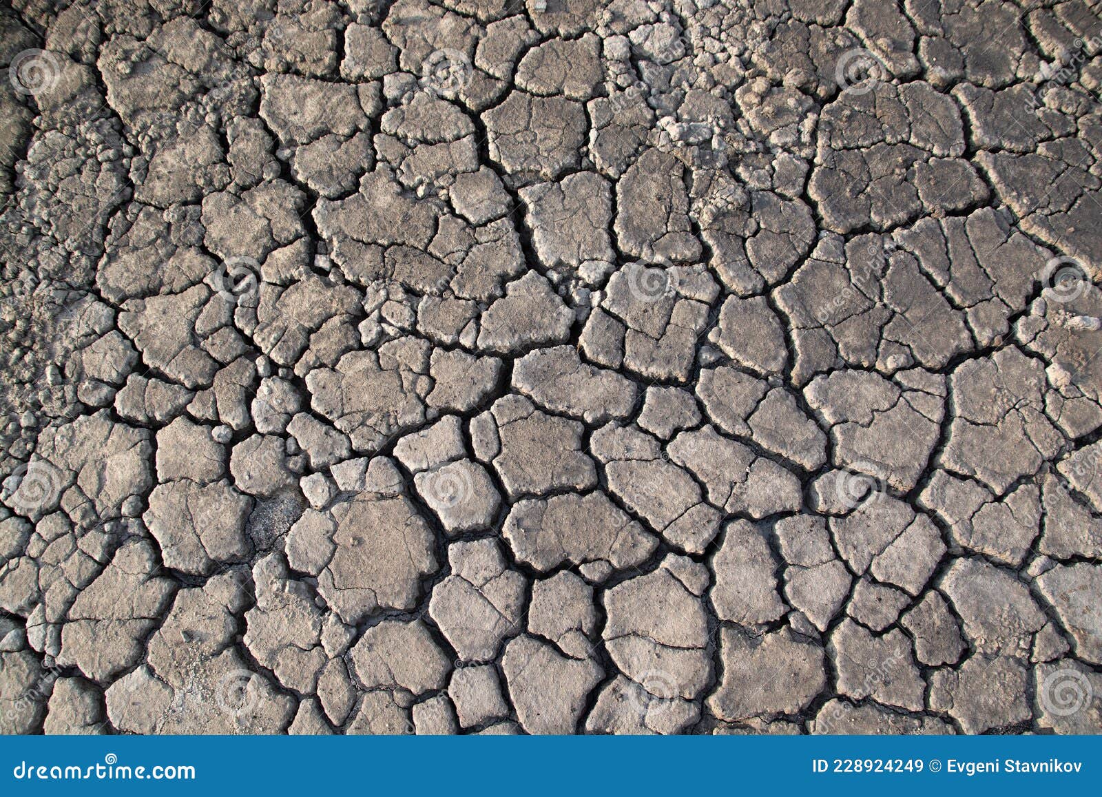 The Texture Of Refractory Clay With Large Cracks.drought And ...