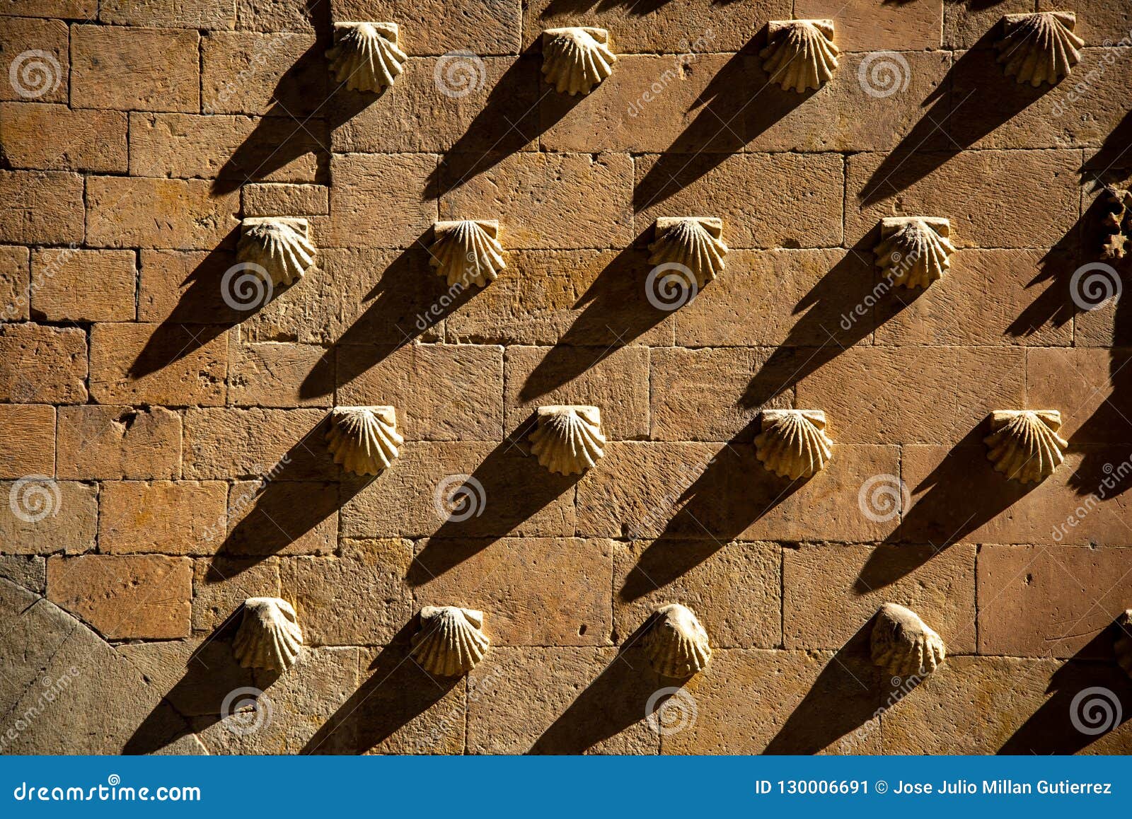 Natural Forms for Funds and Textures Stock Image - Image of guideline ...