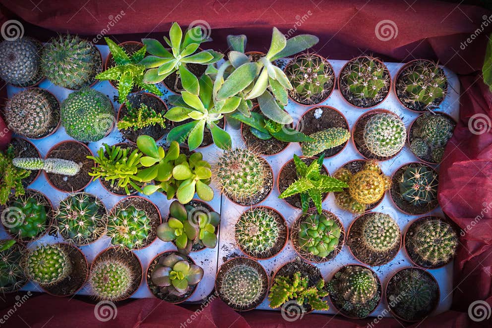 Tidy Forms Creating Textures Stock Image - Image of abstraction, color ...