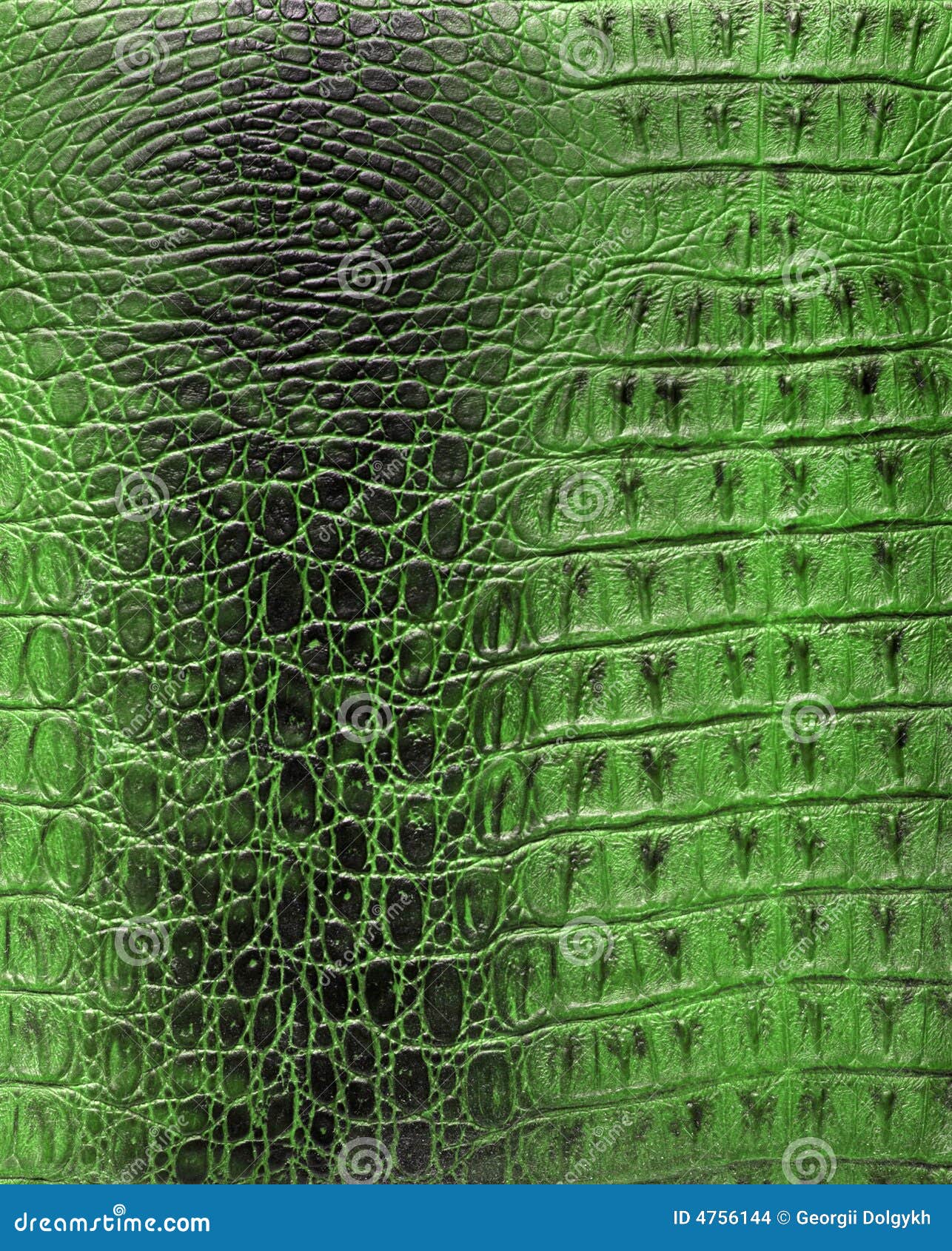 Texture of a reptile skin stock photo. Image of fashion - 4756144