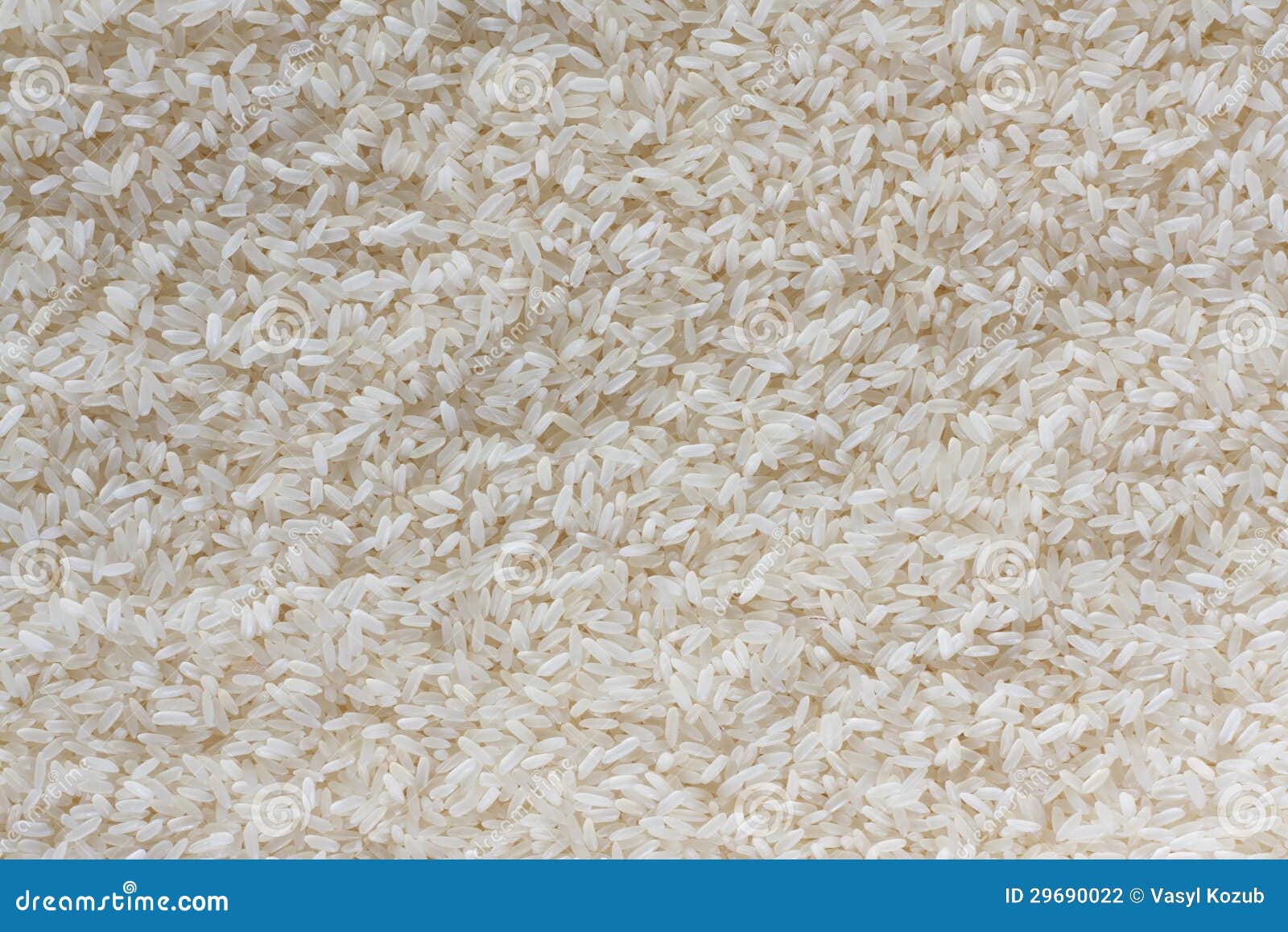 Texture of rice stock photo. Image of full, plant, texture - 29690022