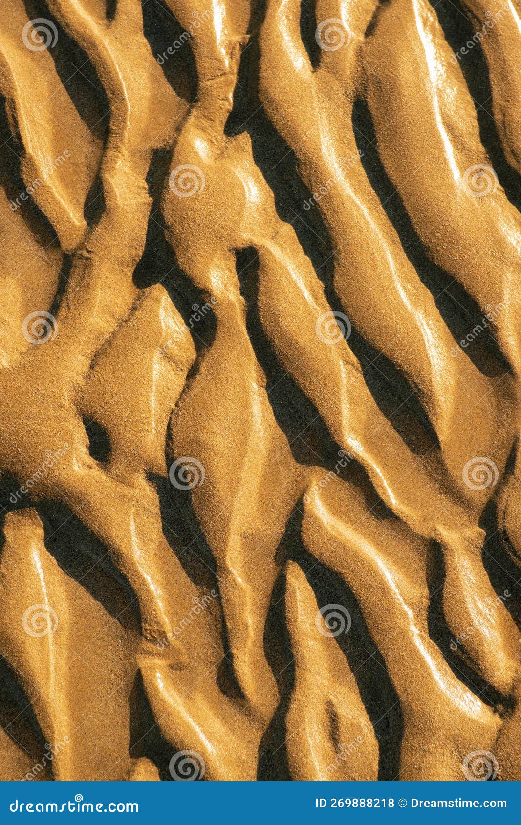 Texture of ridges in sand stock photo. Image of wrinkles - 269888218