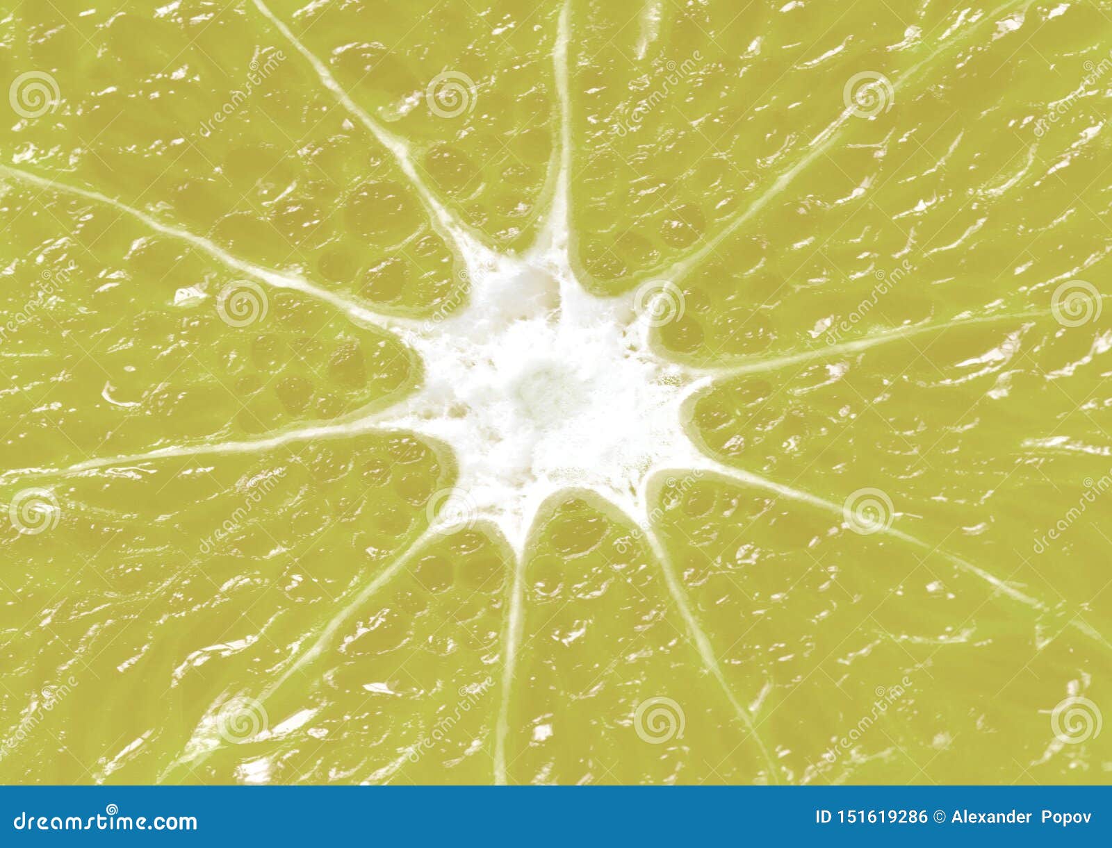 Texture of ripe lemon stock photo. Image of organic - 151619286