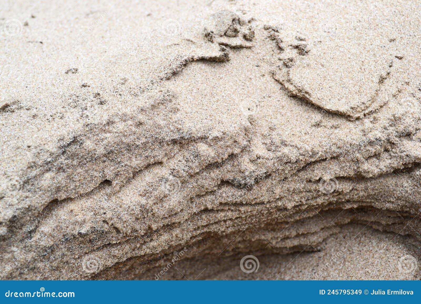 Texture of River Sand in Close-up. Background of Sand. Stock Image ...