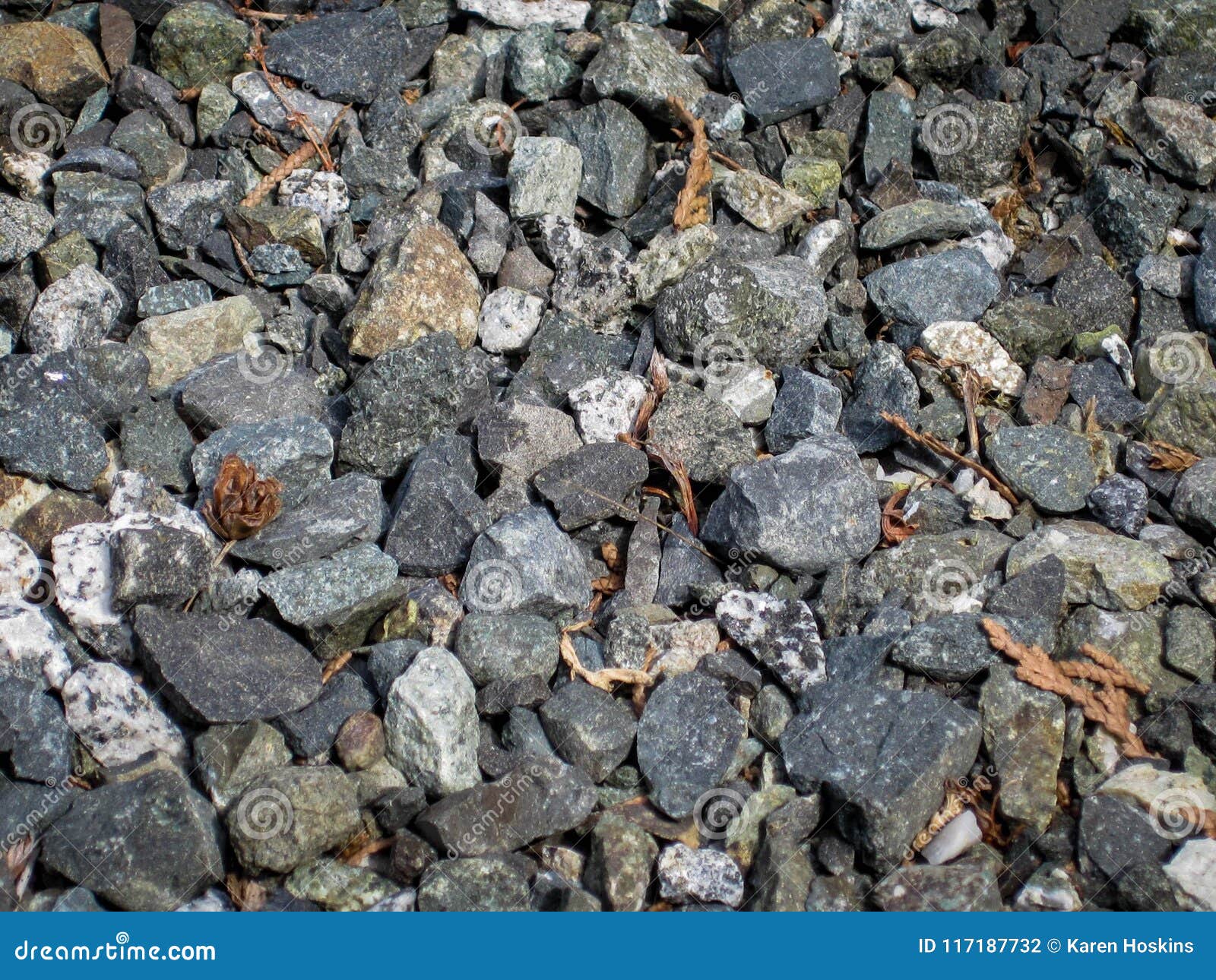 Texture Rocheuse Avec Beaucoup De Pierres Pointues Photo stock - Image ...