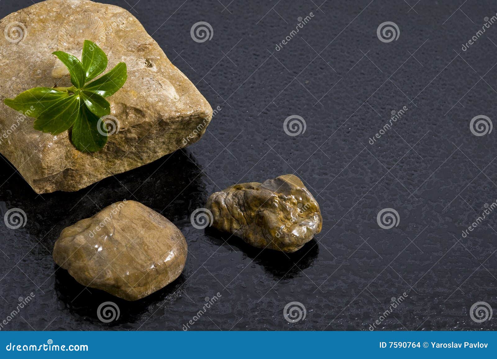 Texture rock stock photo. Image of water, clear, garden - 7590764