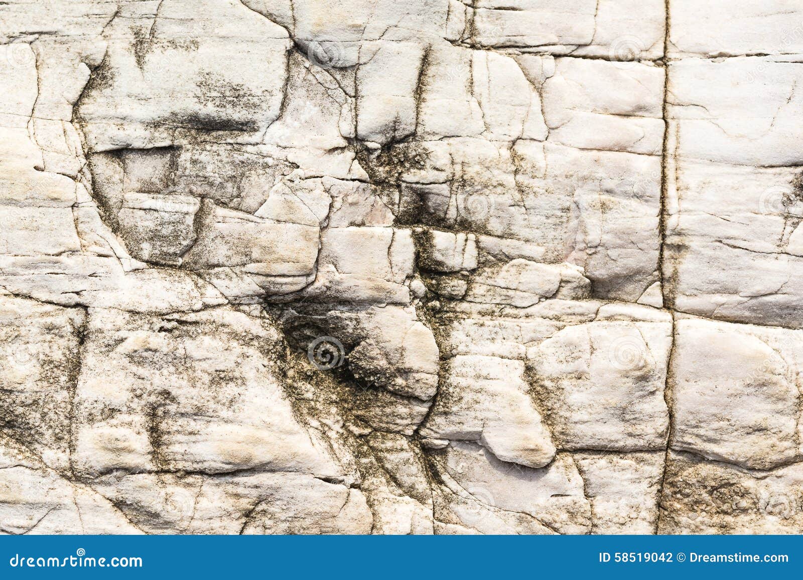 Texture of rock stock photo. Image of marble, concrete - 58519042