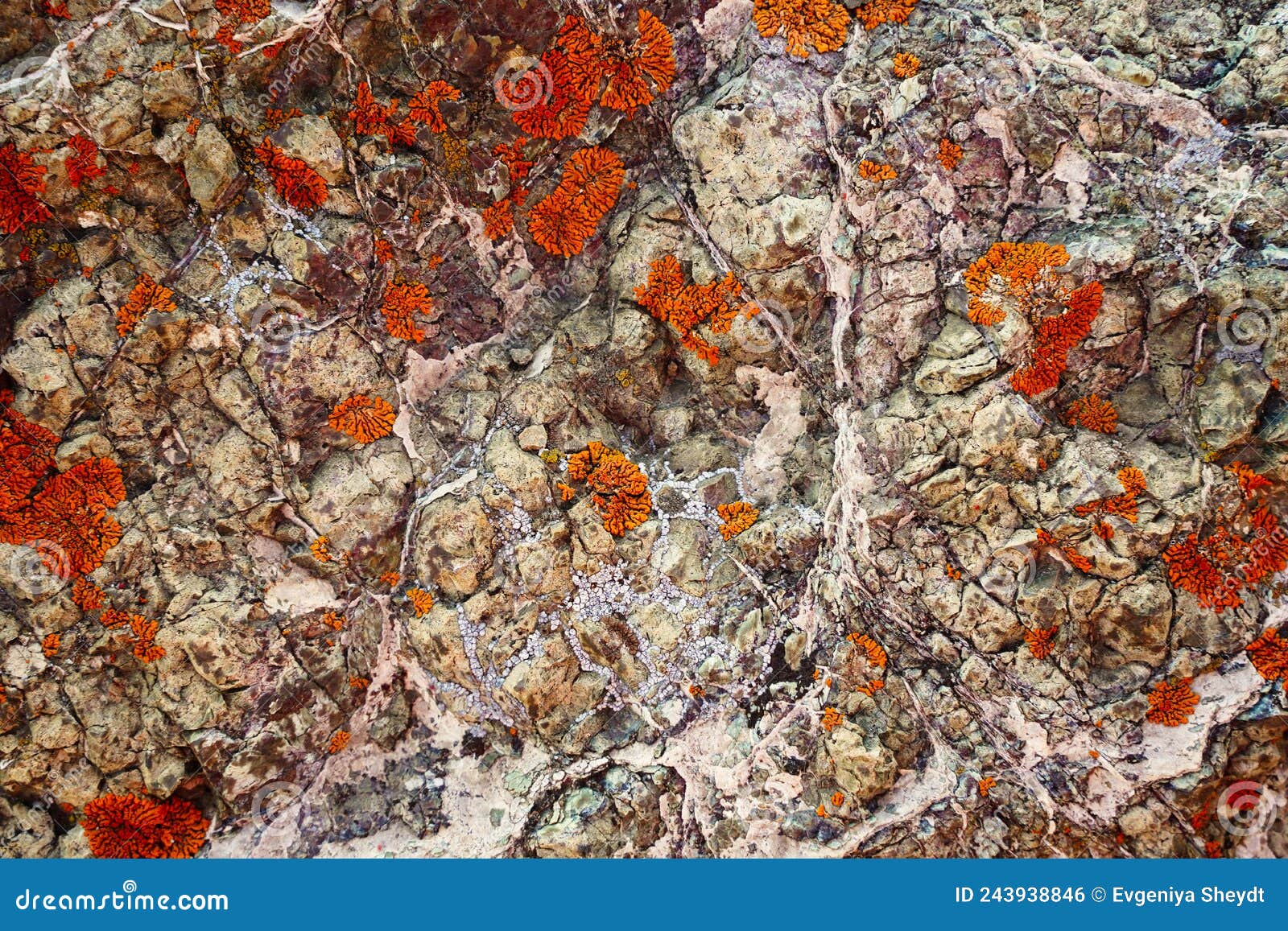 The Texture of the Rock is Orange and White Interspersed with Lines ...