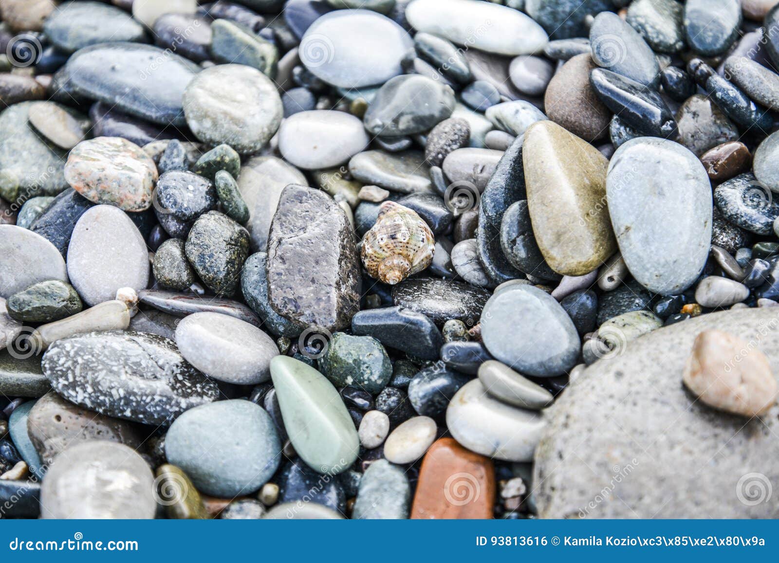 Texture of Rock, Stone on a a Beach. Stock Photo - Image of river ...