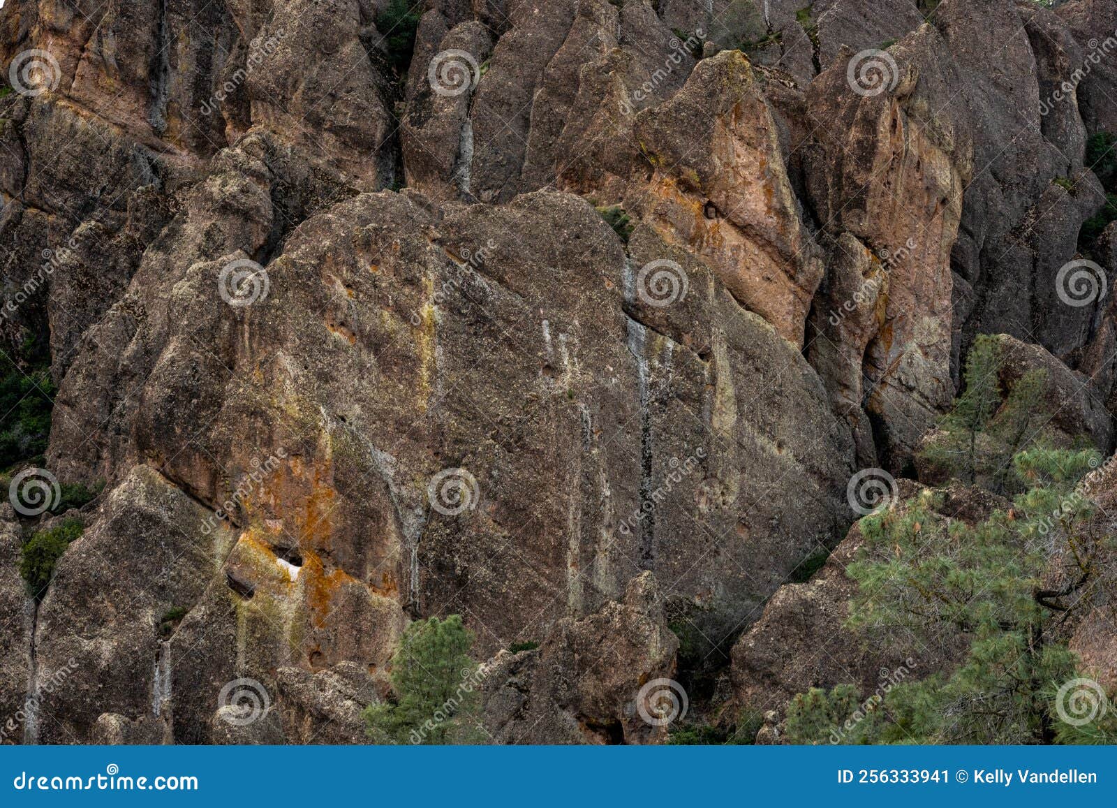 Texture of Rock Wall and Trees in Pinnacles Stock Image - Image of ...