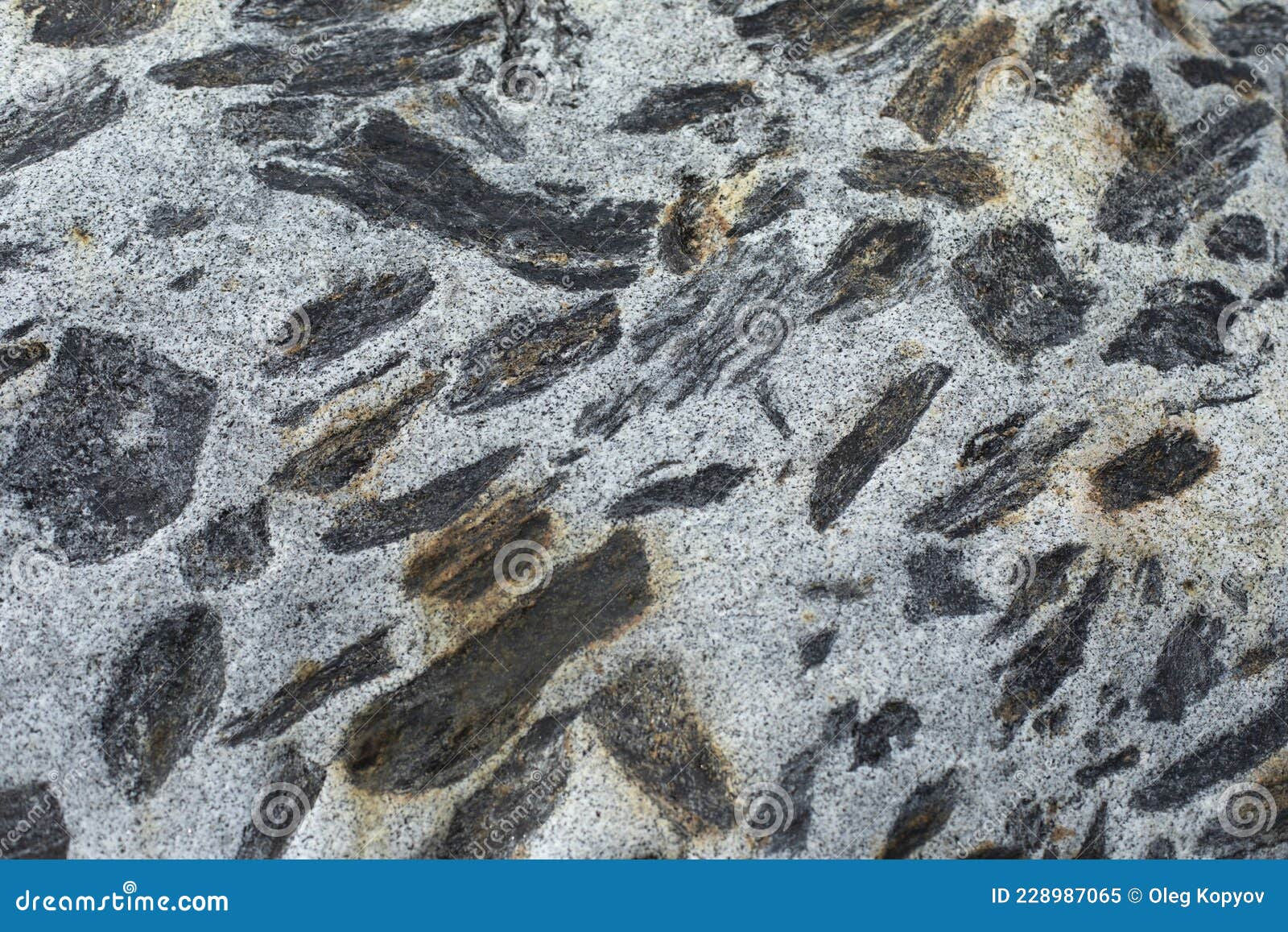 The Texture of the Rock. White Stone with Black Spots Stock Image ...