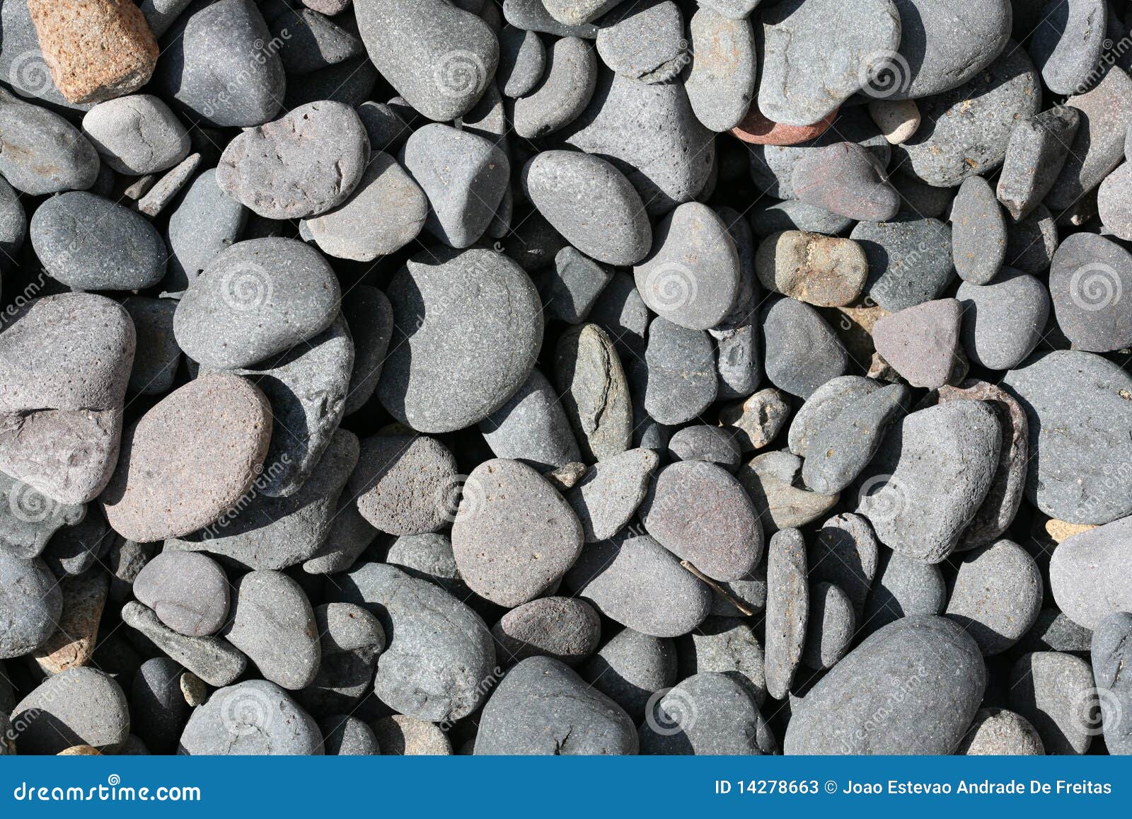 Texture of rocks beach stock image. Image of rock, gray - 14278663