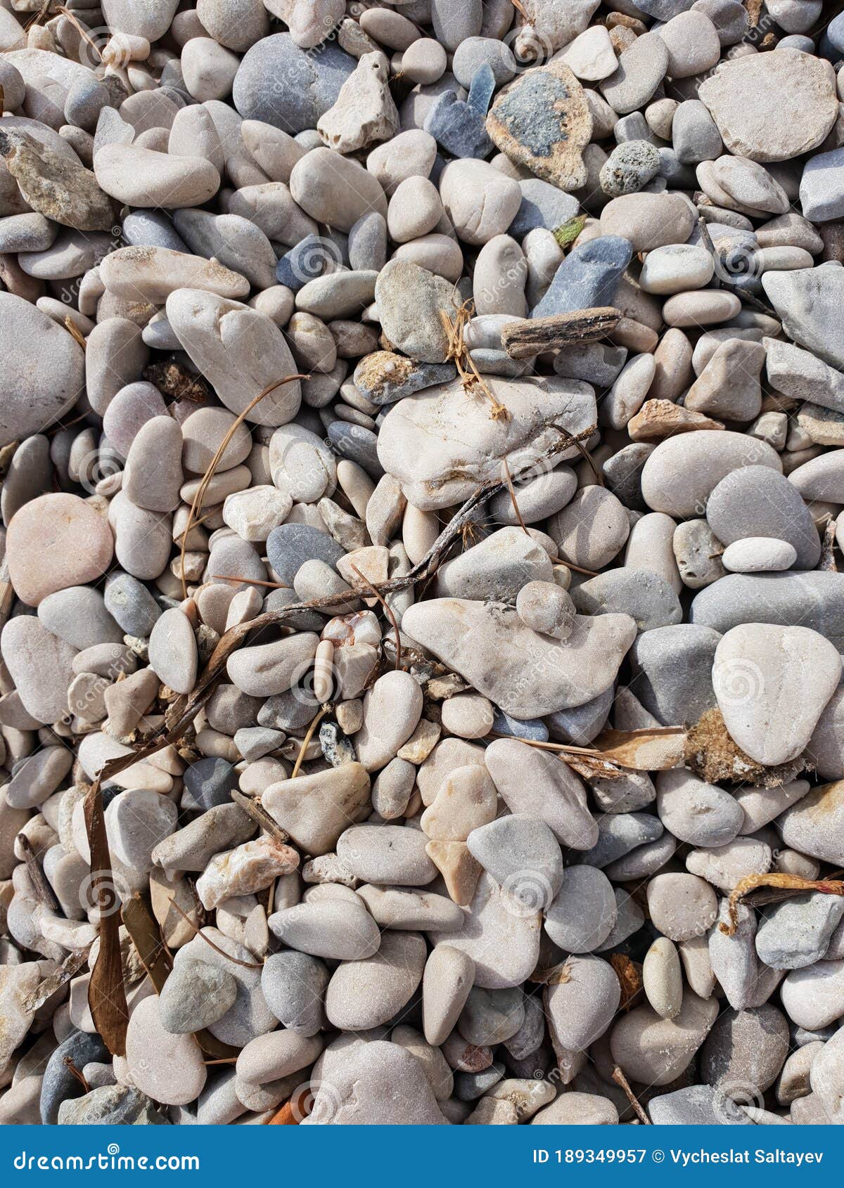 Texture of Rocks and Branches Stock Image - Image of garden, material ...