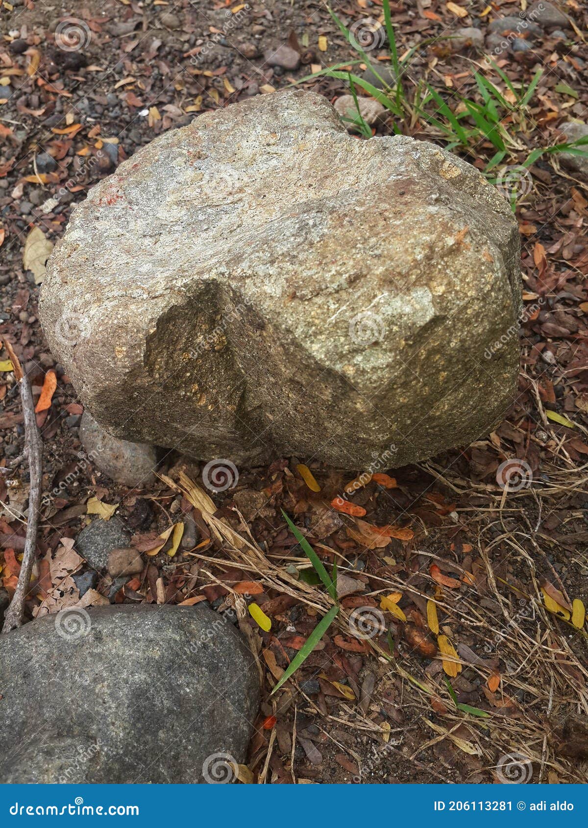 Texture of 2 Rocks Under a Tree by a Public Roadside Stock Image ...
