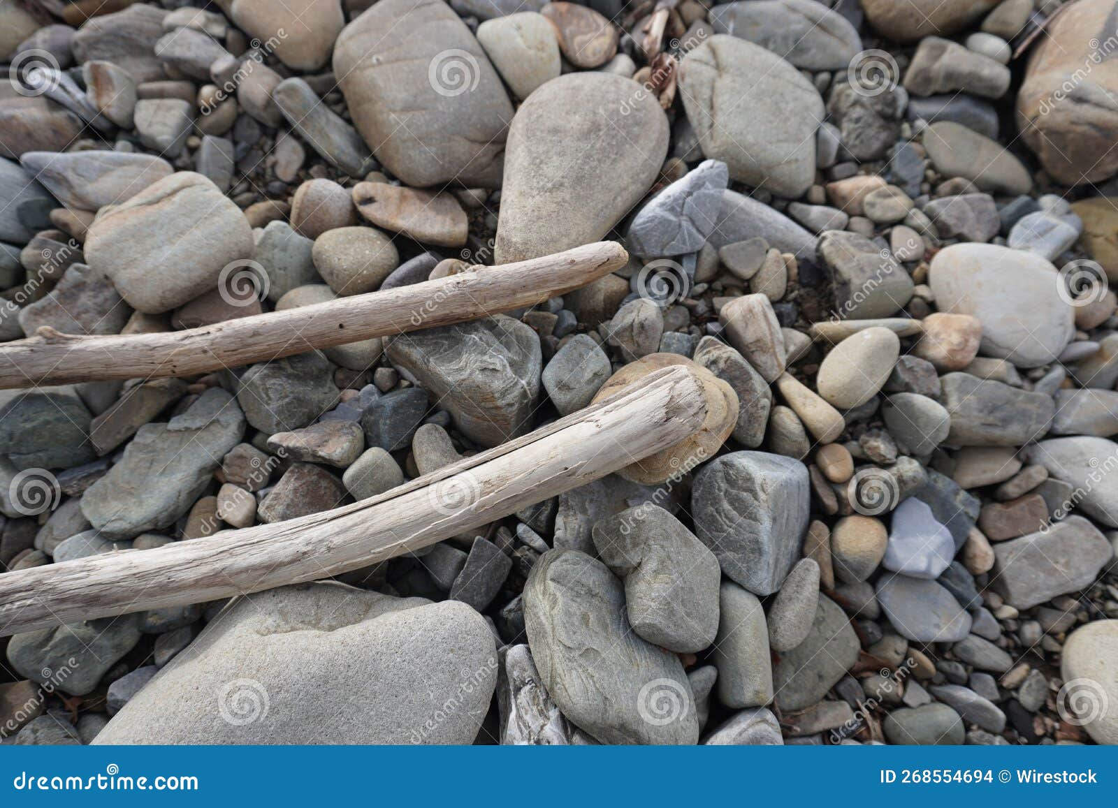 Texture of Rocks and Weathered Branches at the Shore Stock Photo ...