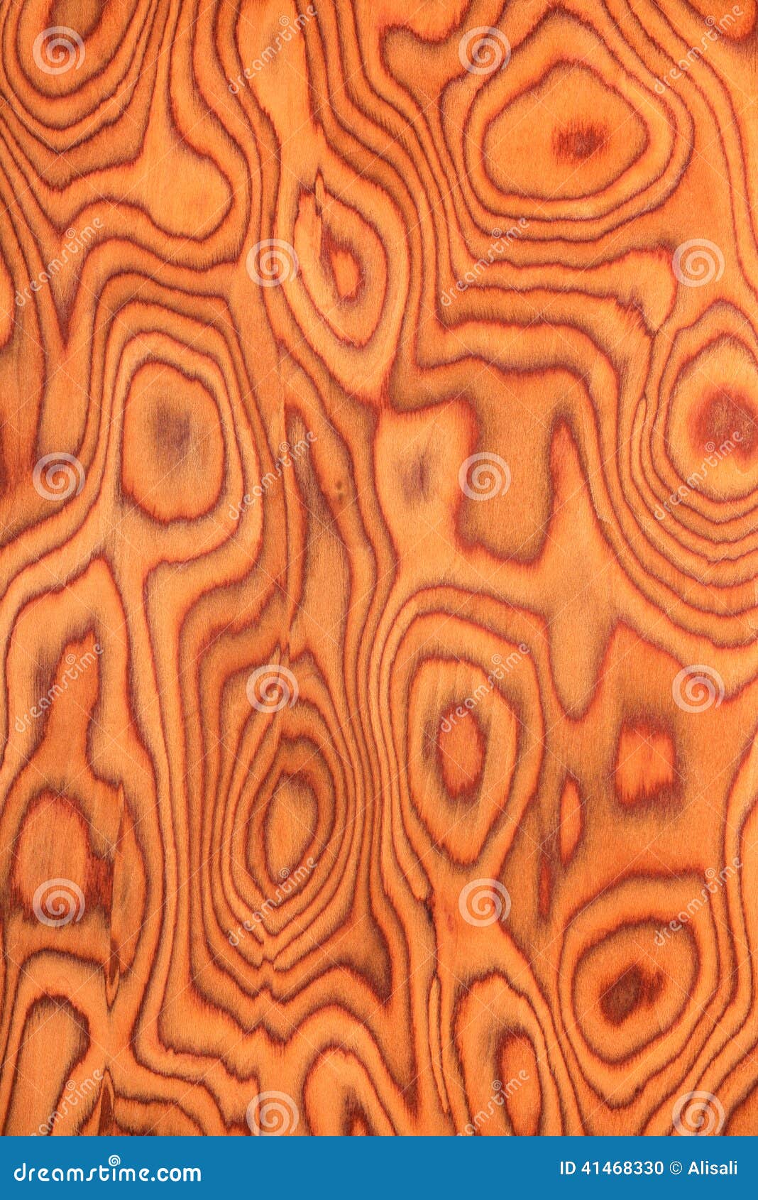 Texture of Root Oak, Wood Texture Stock Photo - Image of element ...
