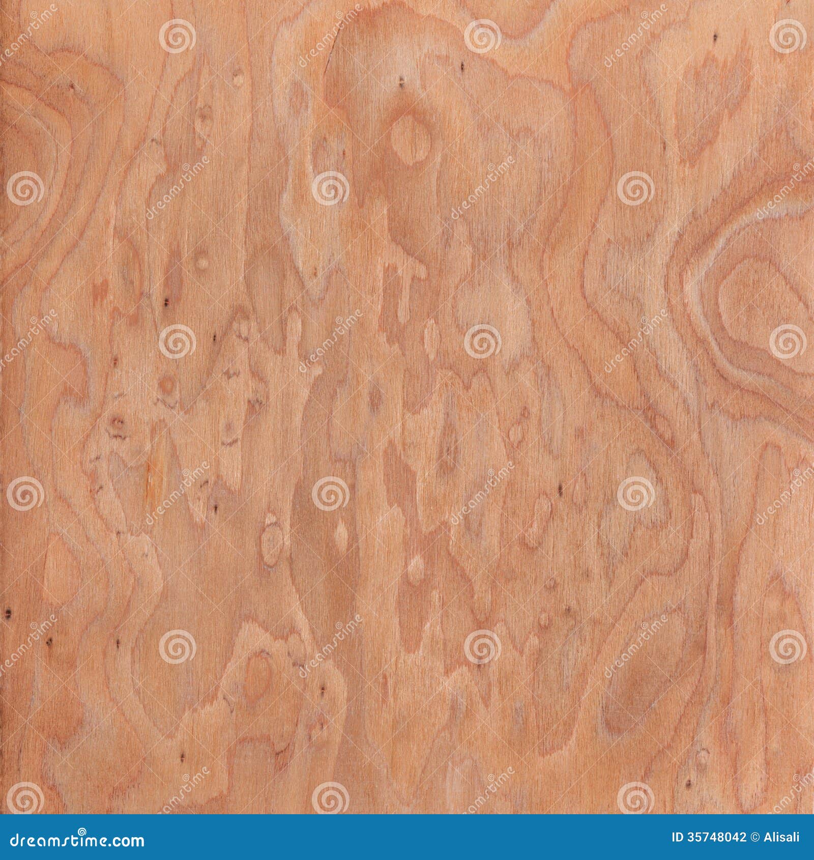 Texture of root stock photo. Image of decoration, elegant - 35748042